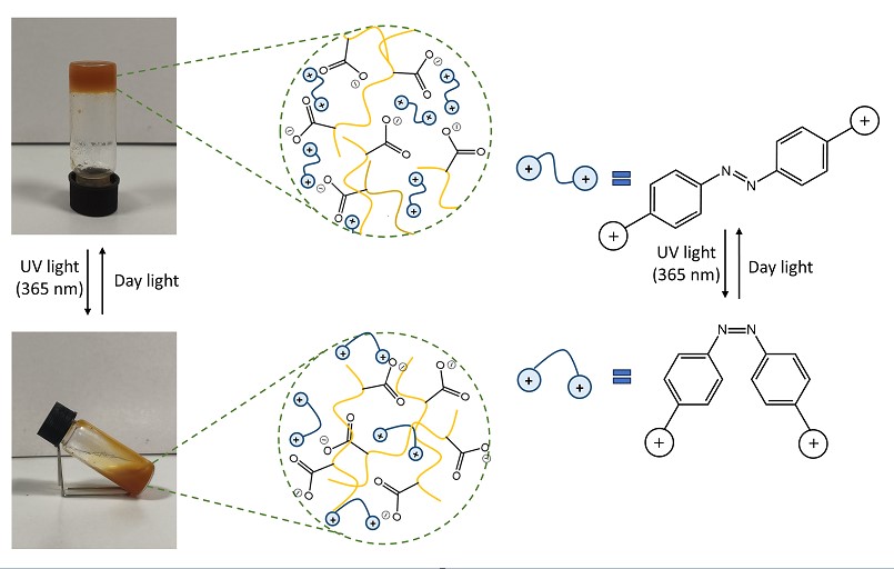Cationic Azobenzenes As Light Responsive Crosslinkers For Alginate Based Supramolecular