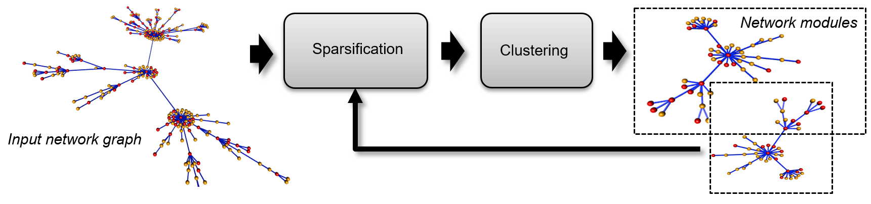 Network Module Detection using Recursive Local Graph Sparsification and Clustering[v1 ...