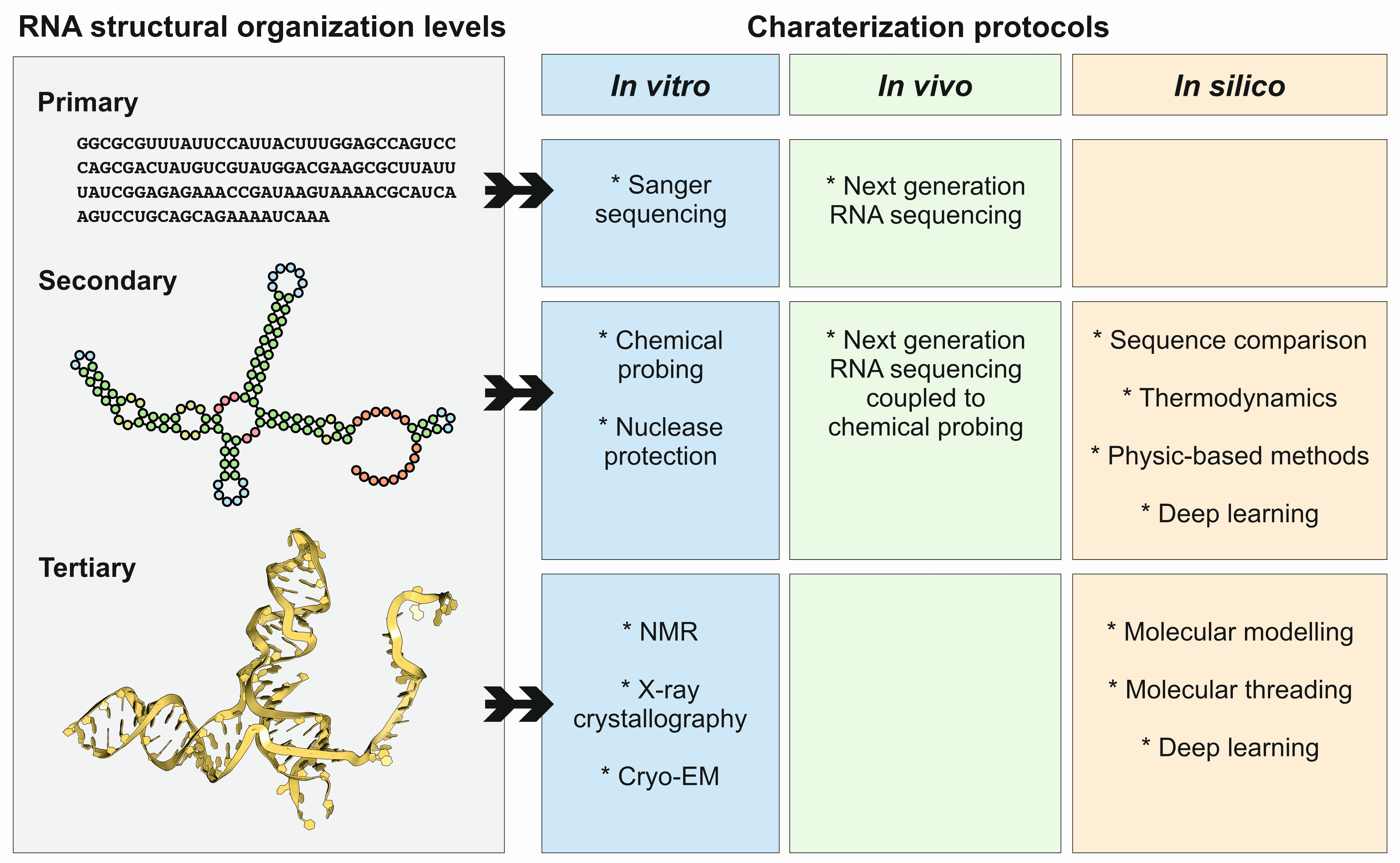 The Unpaved Road of Non-Coding RNA Structure-Function Relationships: Current Knowledge ...