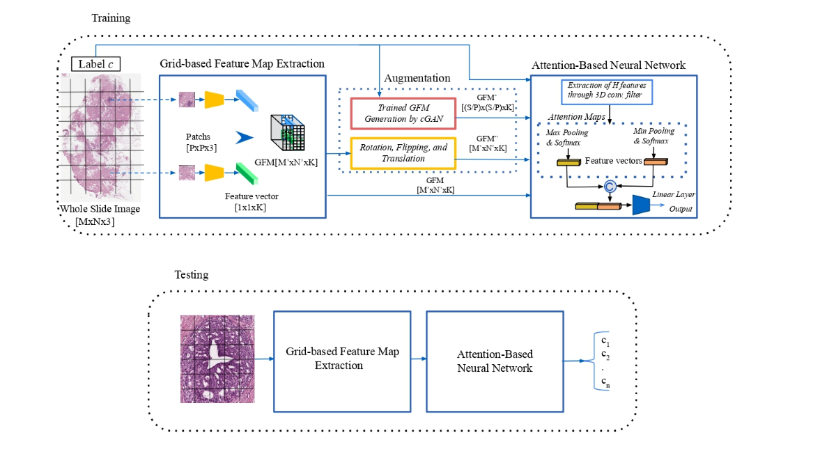 Improving Breast Tumor Multi-Classification from High-Resolution Histological Images with the ...