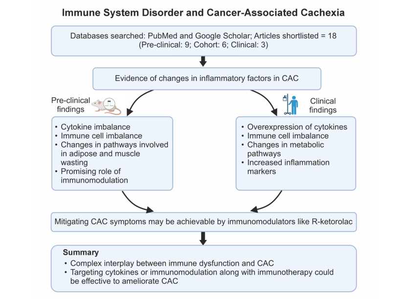 Immune System Disorder and Cancer-Associated Cachexia[v1] | Preprints.org