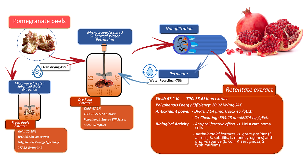 Unlocking the Bioactive Potential of Pomegranate Peels: A Green Extraction Approach[v1 ...