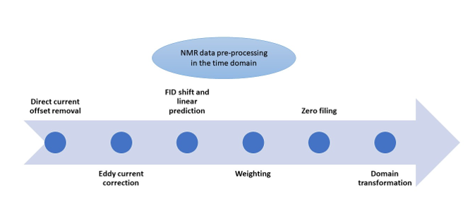 Mathematical and Statistical Review of NMR Time Domain Data Pre-Processing[v2] | Preprints.org