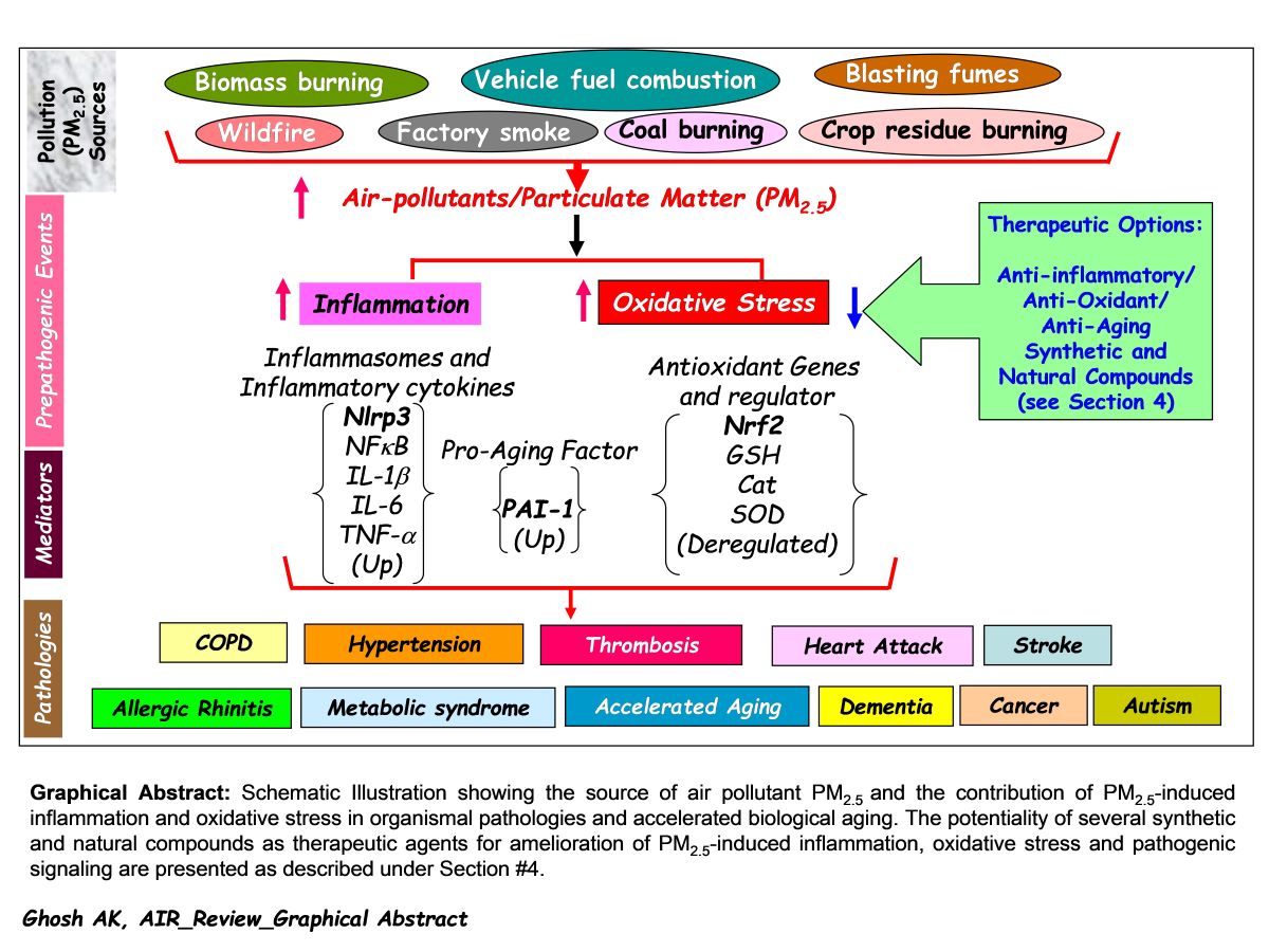 Air-pollutant Particulate Matter 2.5 (PM2.5)-induced Inflammation and Oxidative Stress in ...
