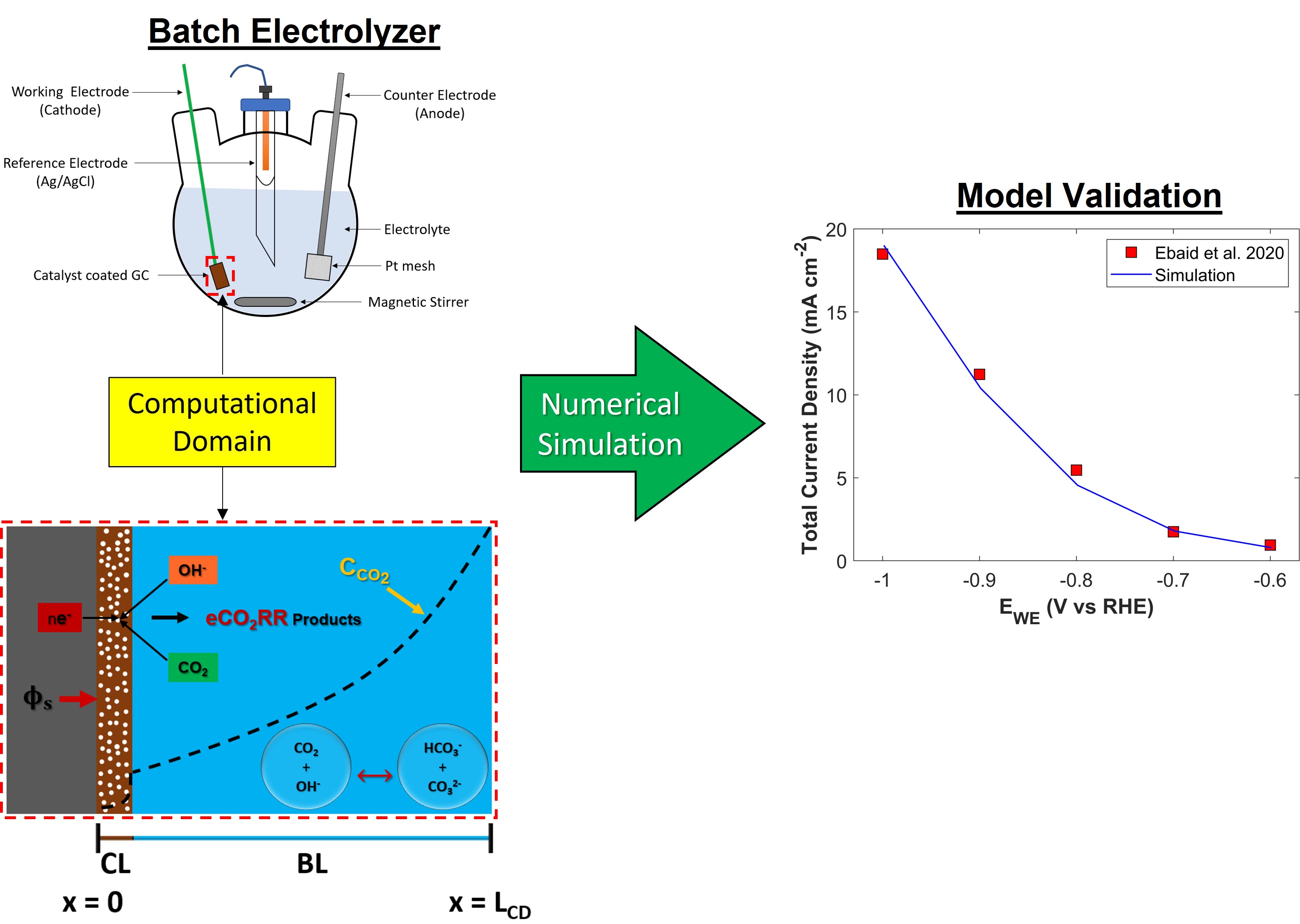 Numerical Modeling of CO2 Reduction Reaction in a Batch-Cell with ...