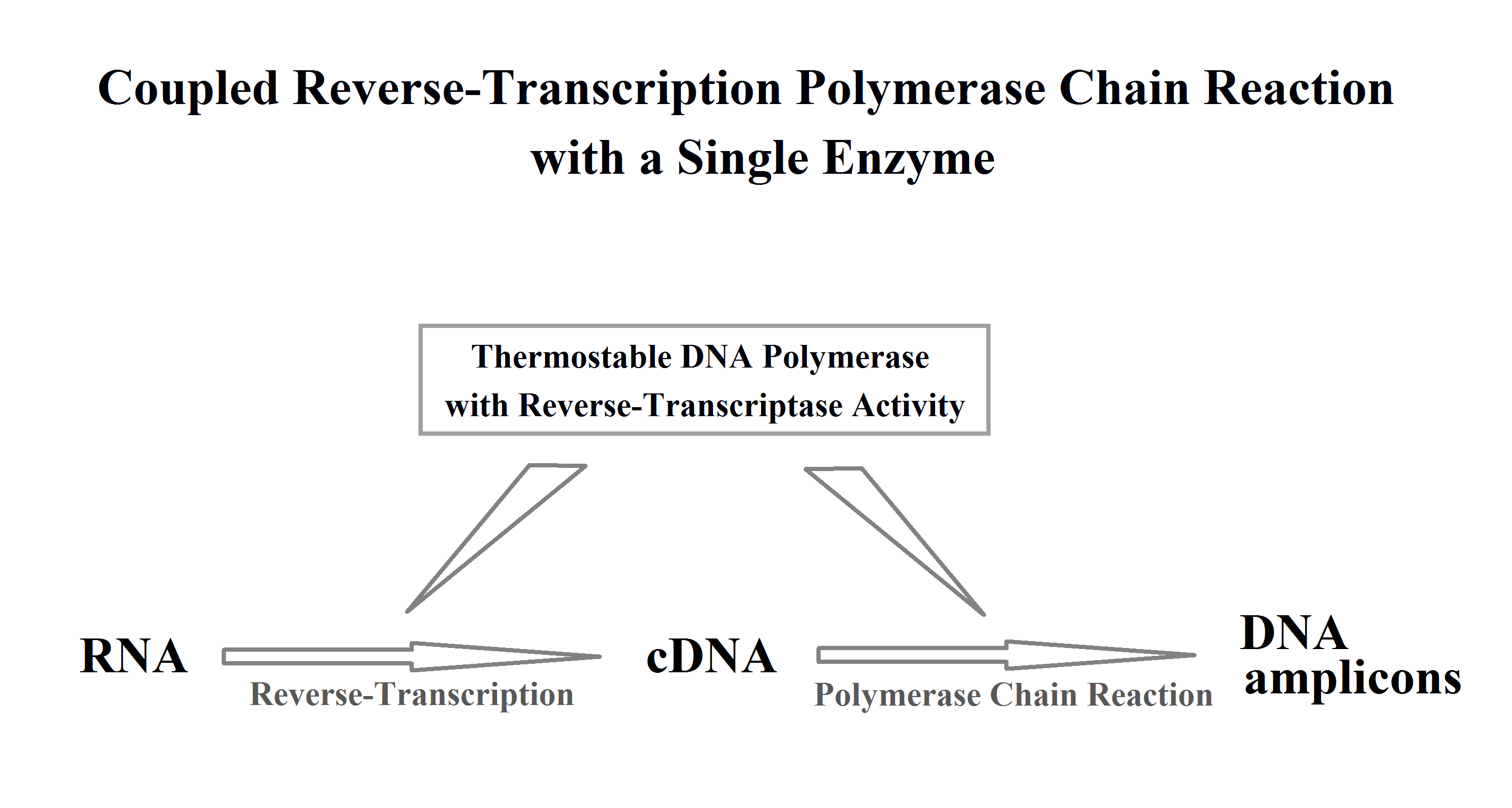 Comparison of Commercially Available Thermostable DNA Polymerases with Reverse-Transcriptase ...