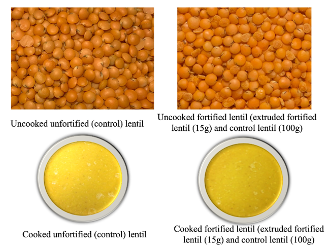 Sensory Acceptability of Multiple Micronutrients Fortified (MMF) Lentil ...