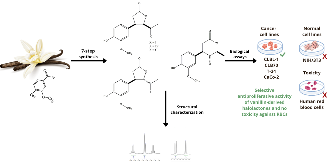 Design, Synthesis, Structural Characterization and Bioactivity of Novel ...