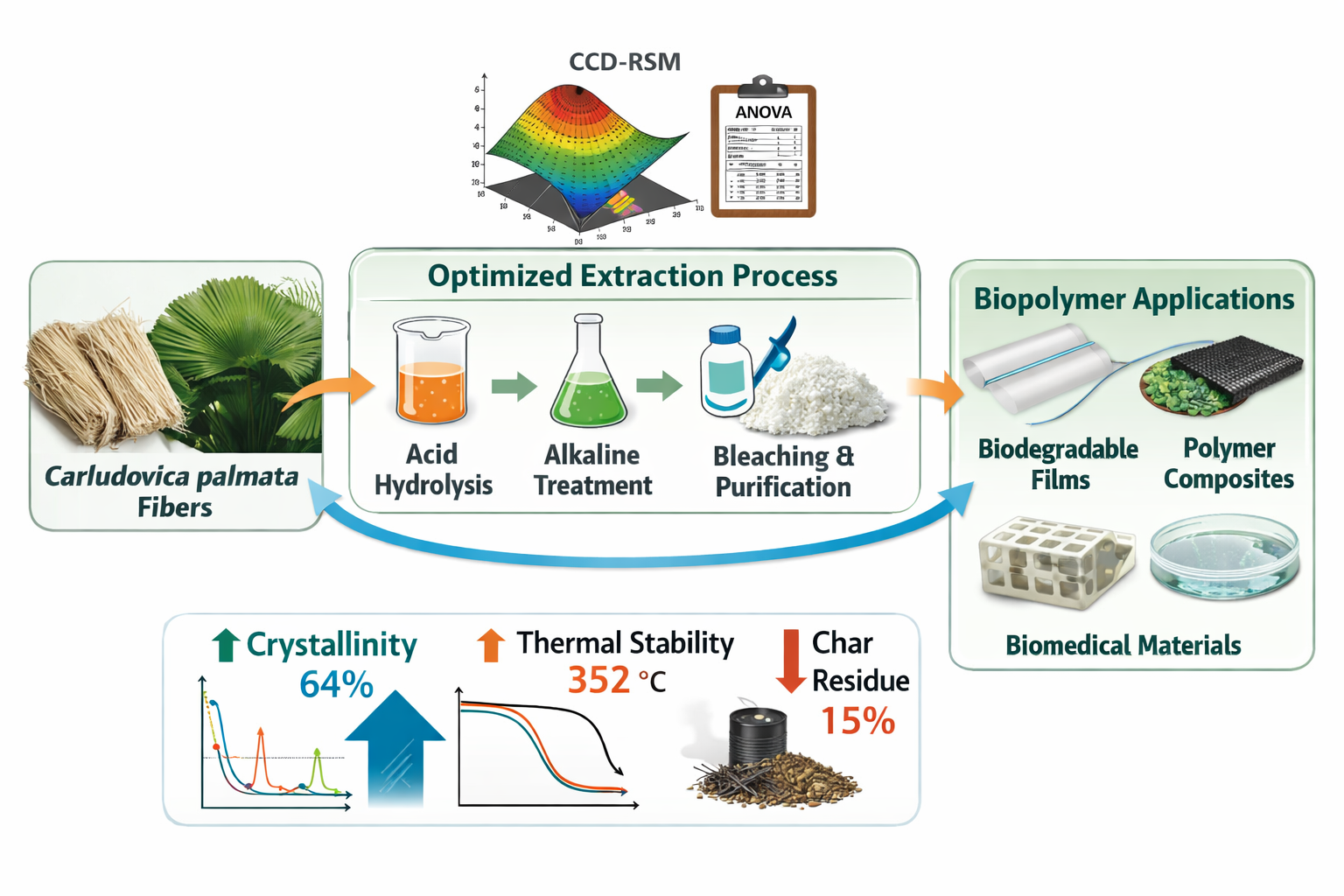 Statistical Optimization for Maximized Cellulose Yield from Carludovica ...