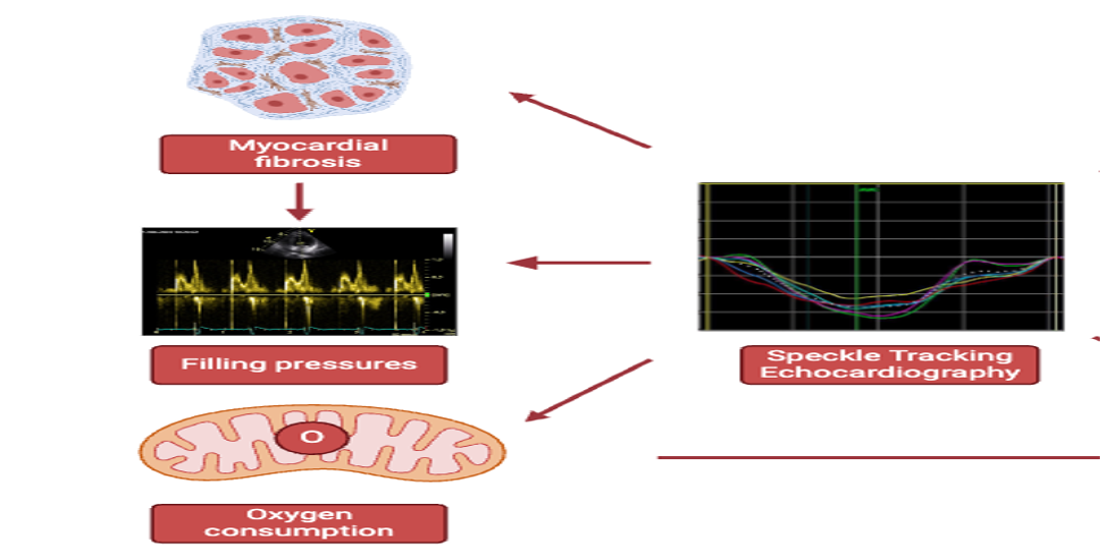 Noninvasive Estimation of Intracavitary Cardiac Pressures Using Speckle ...
