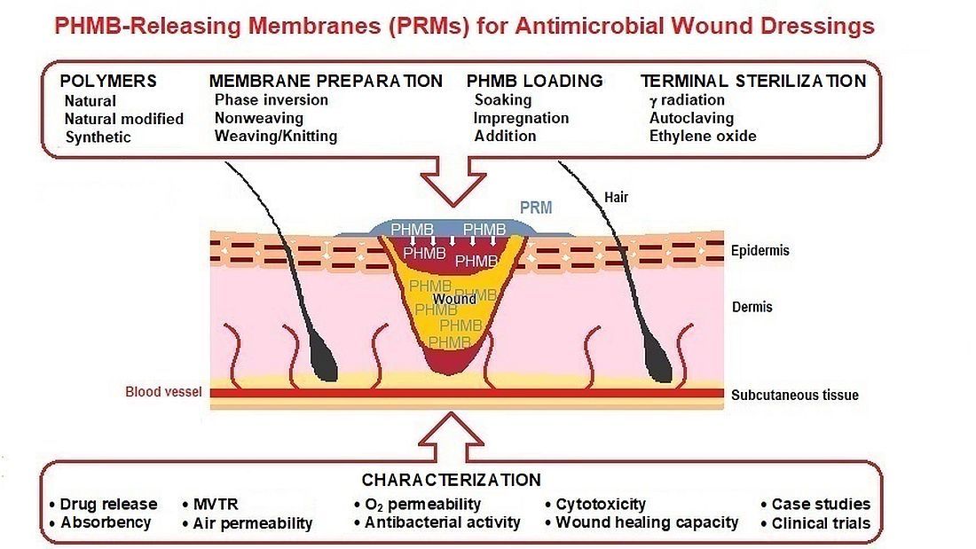 Novel Polyhexanide-Releasing Membranes for Antimicrobial Wound ...