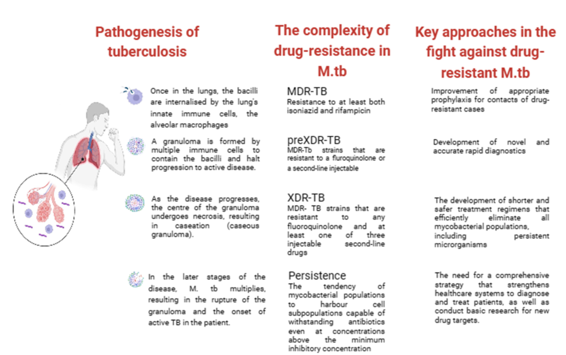 Tackling Drug-Resistant Tuberculosis: New Challenges from the Old ...