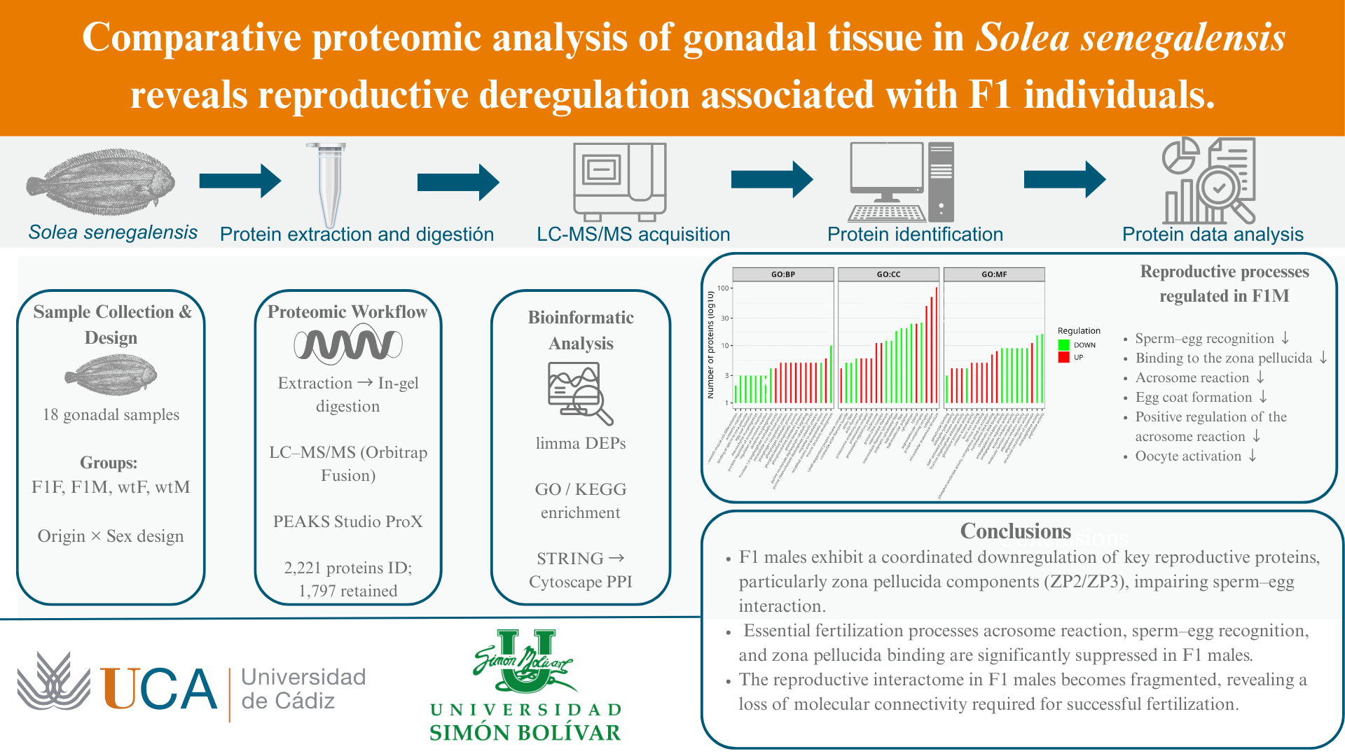 Comparative Proteomic Analysis of Gonadal Tissue in Solea senegalensis ...