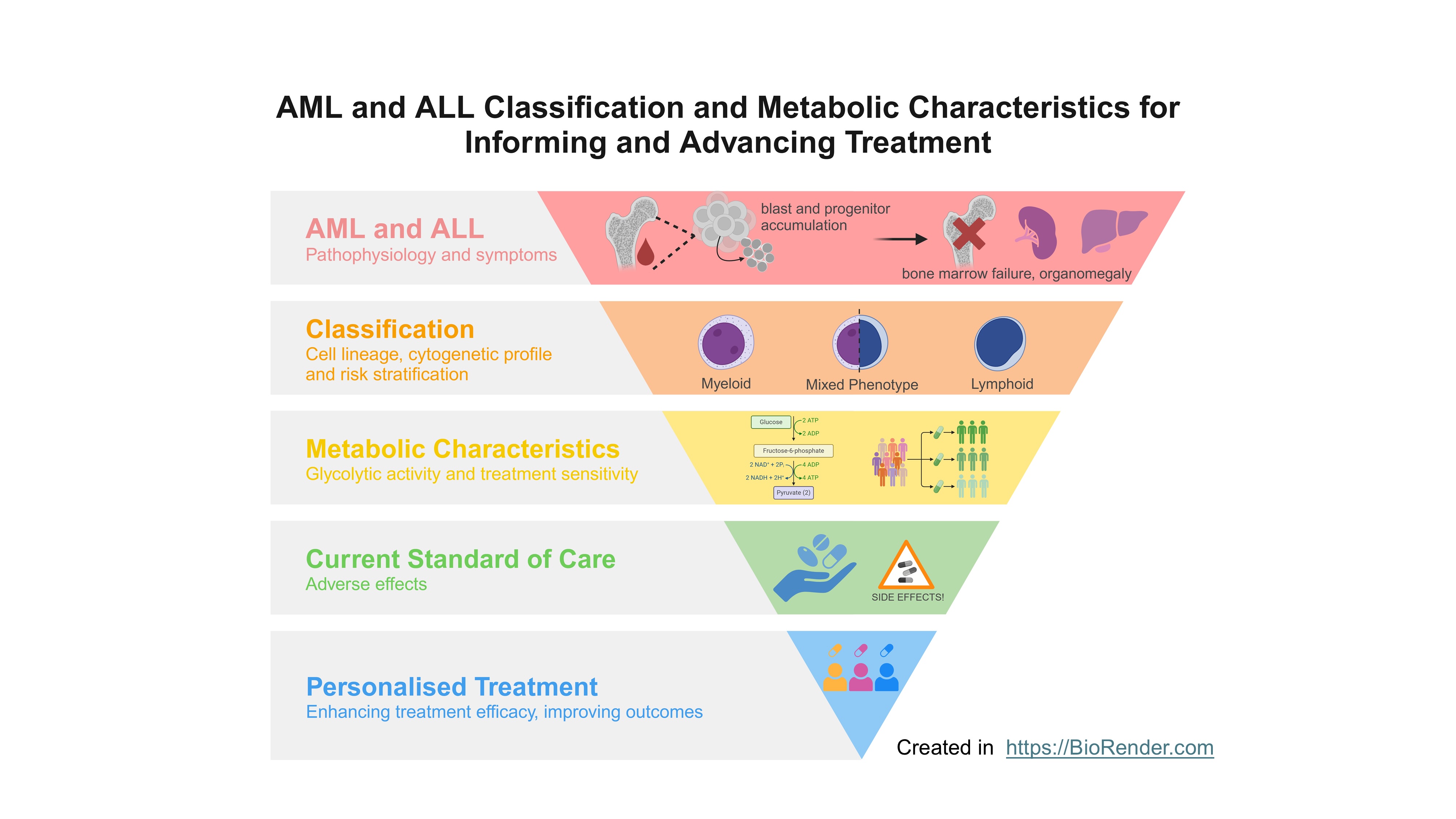 AML and ALL Classification and Metabolic Characteristics for Informing ...