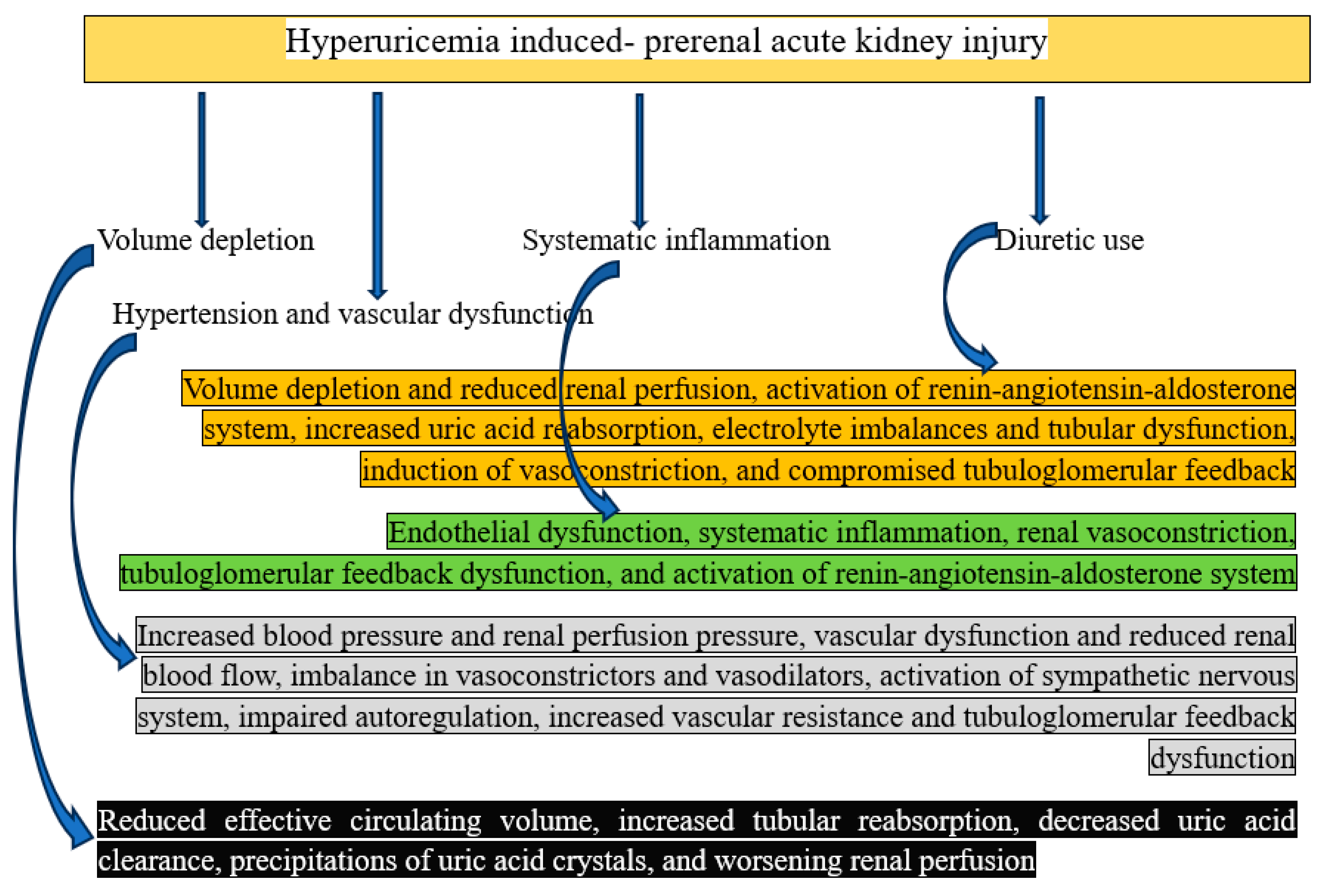 Exploring the Role of Elevated Uric Acid in Acute Kidney Injury: A ...