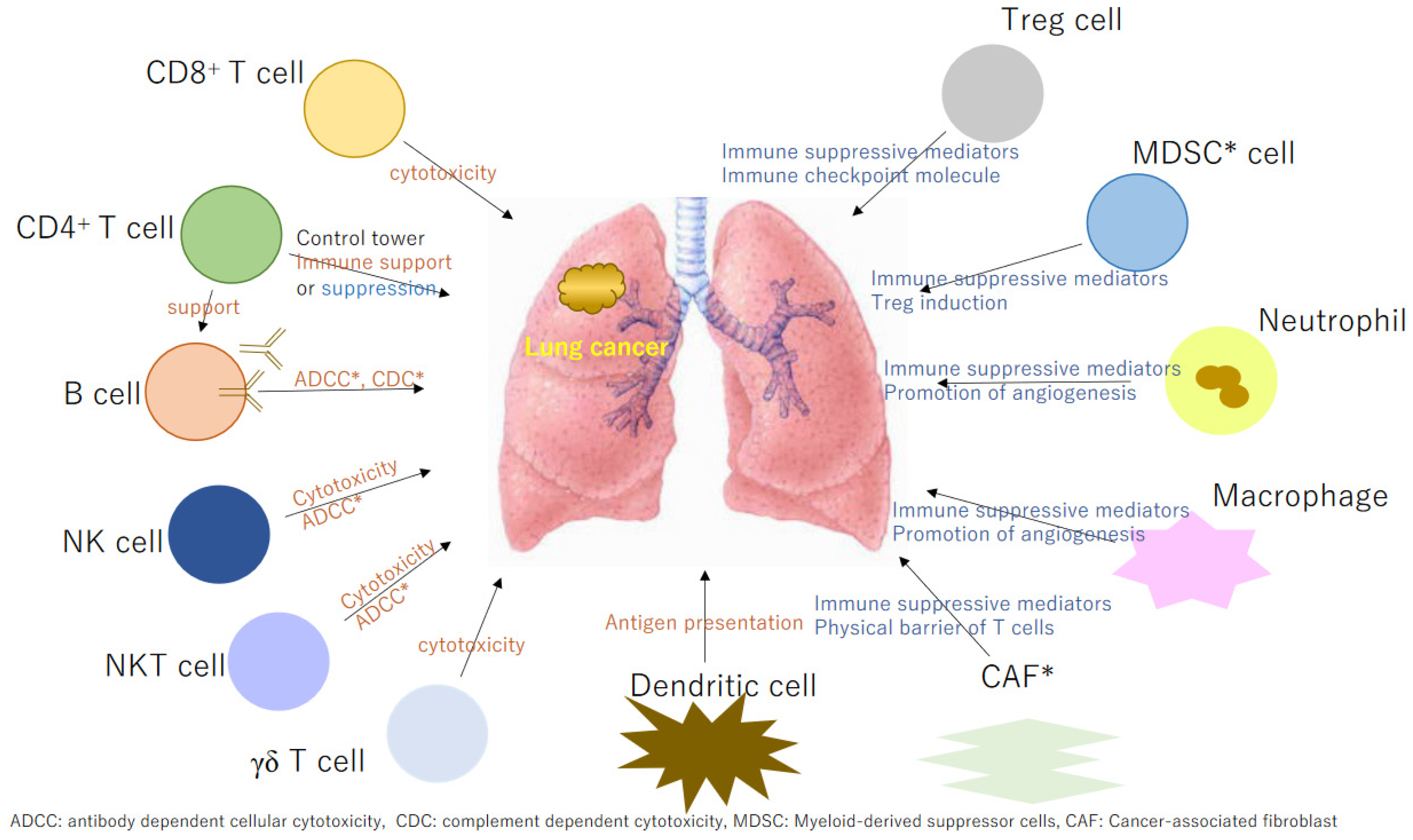 Towards the Development of Next-Generation Lung Cancer Immunotherapy[v1 ...