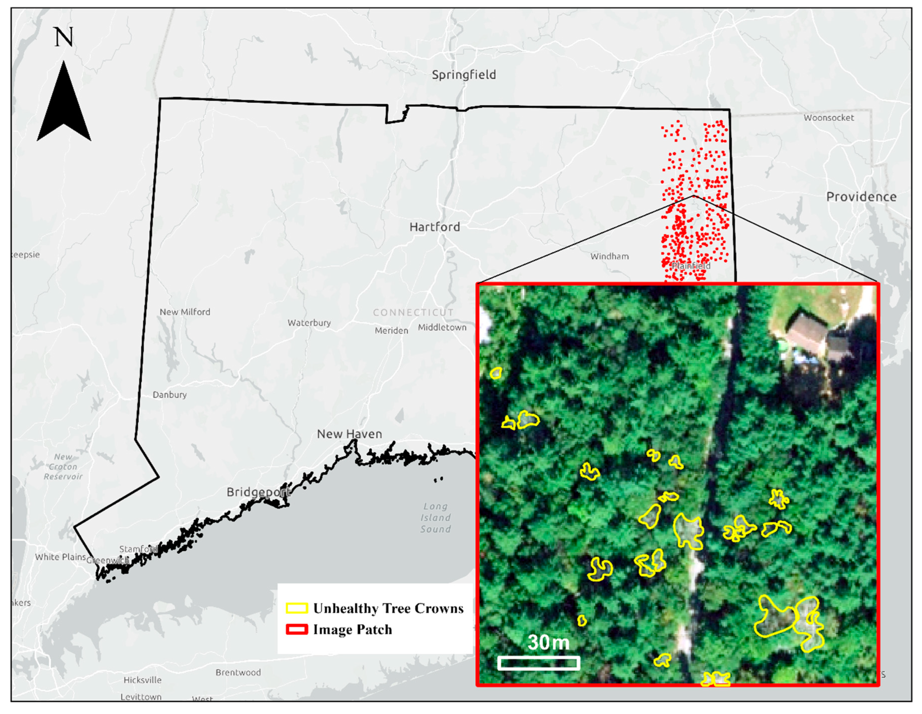 Vision Transformer Based Unhealthy Tree Crown Detection and Evaluation ...