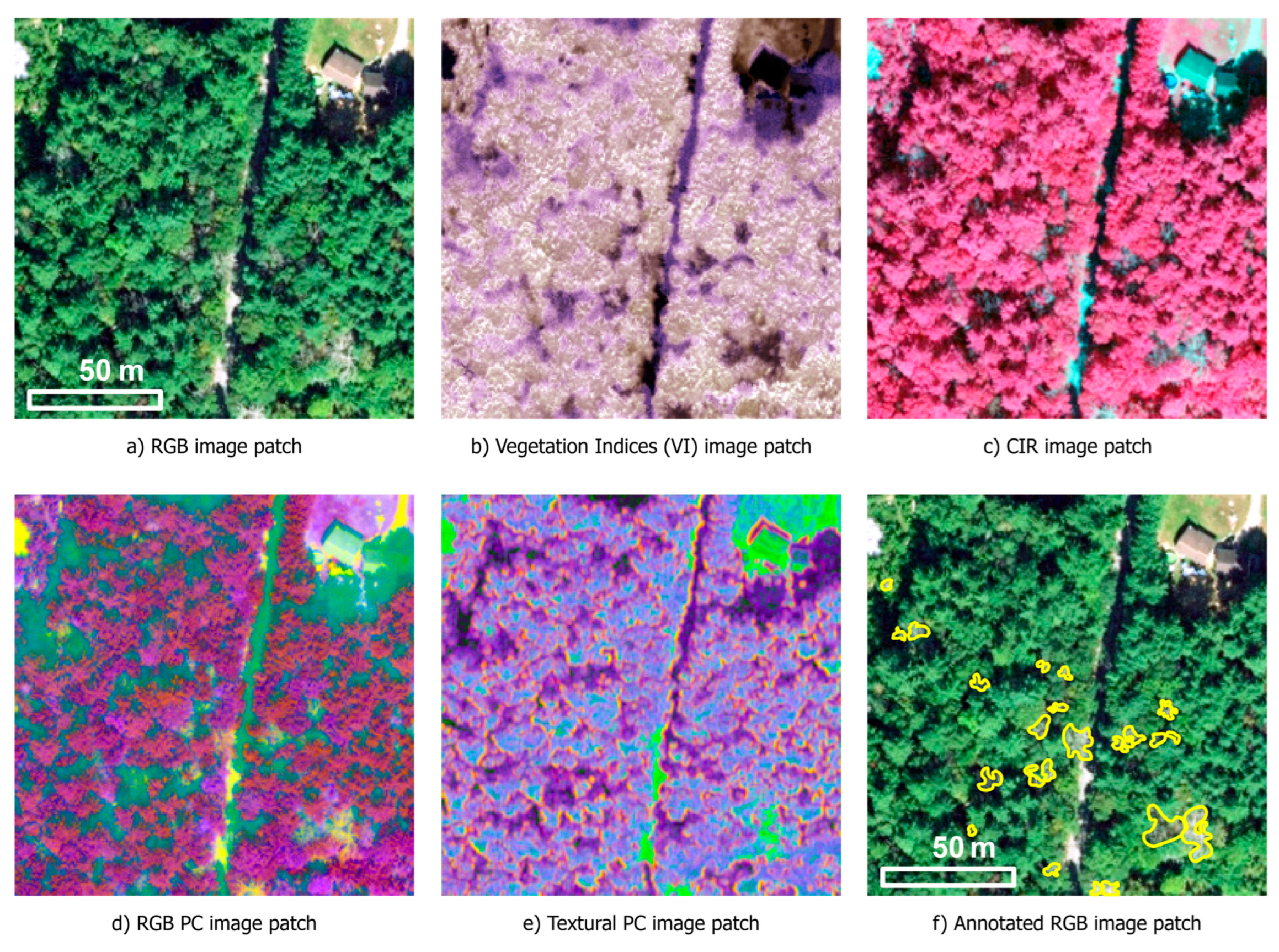 Vision Transformer Based Unhealthy Tree Crown Detection and Evaluation ...