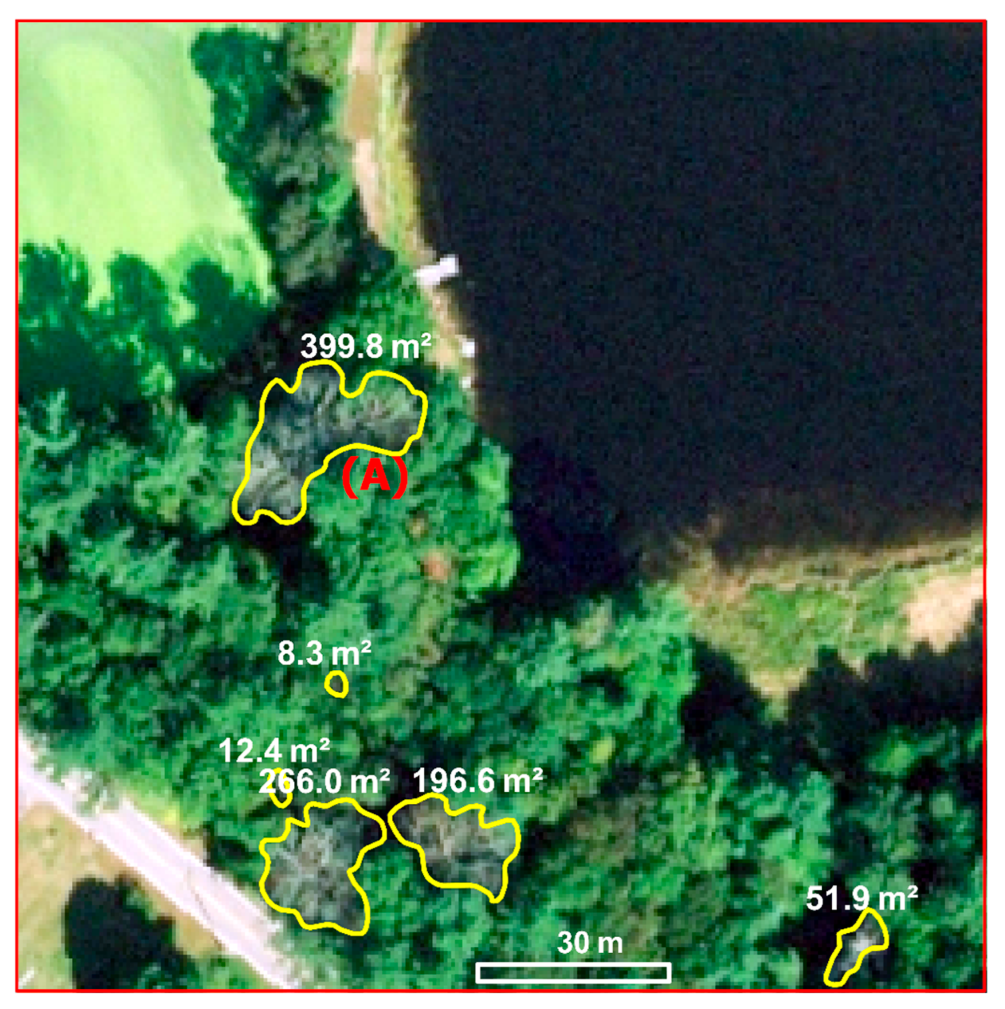 Vision Transformer Based Unhealthy Tree Crown Detection and Evaluation ...