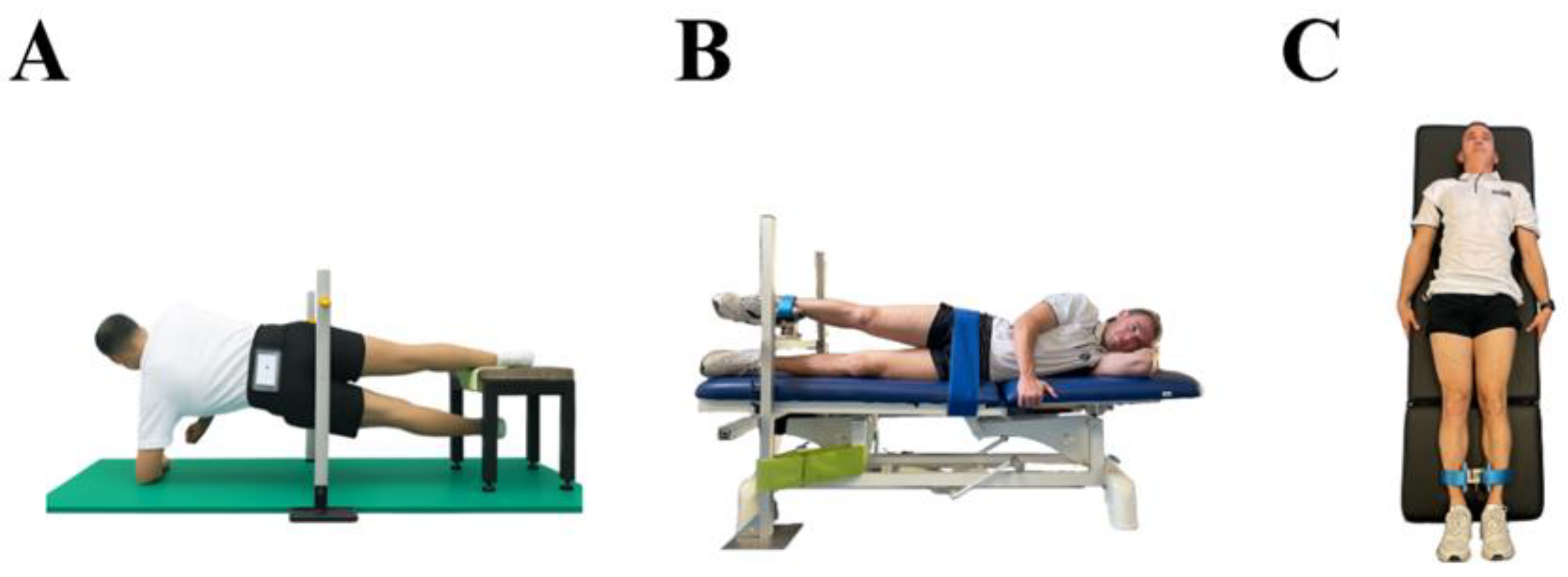 Dynamic Field Assessment of Hip Adductor Function Using a Smartphone ...