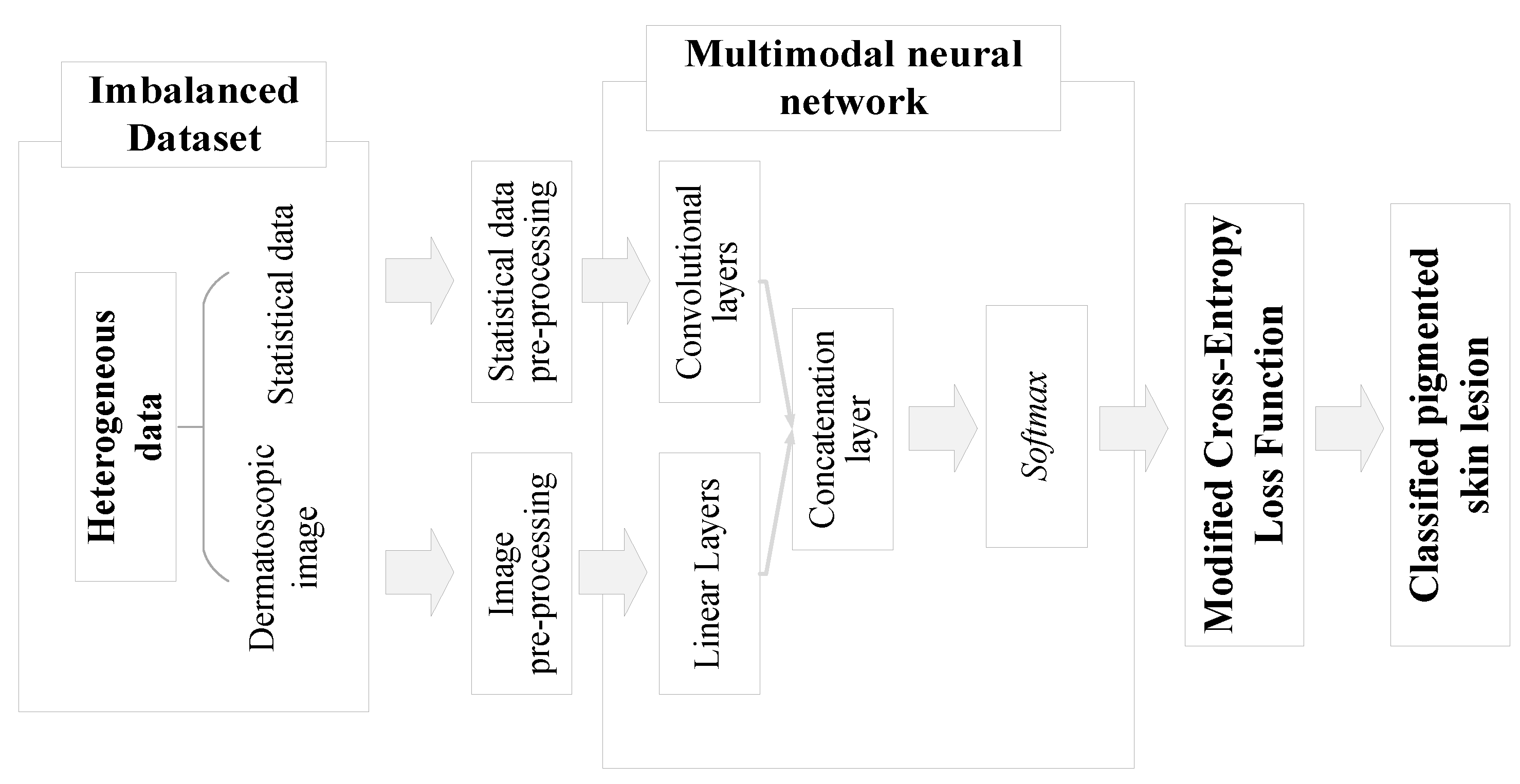 Multimodal Neural Network System for Skin Cancer Recognition with a ...