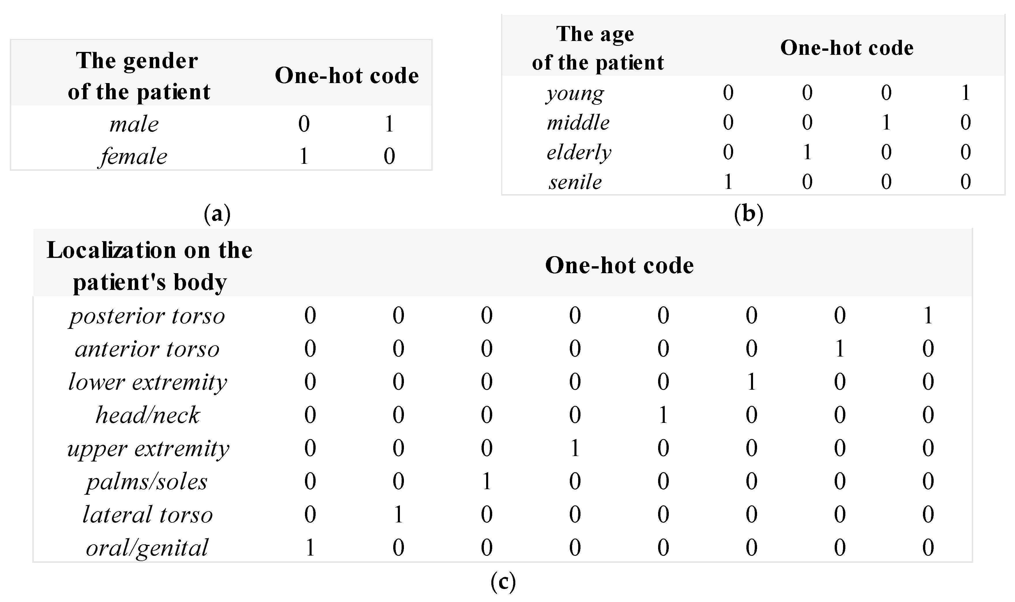 Multimodal Neural Network System for Skin Cancer Recognition with a Modified Cross-Entropy Loss ...