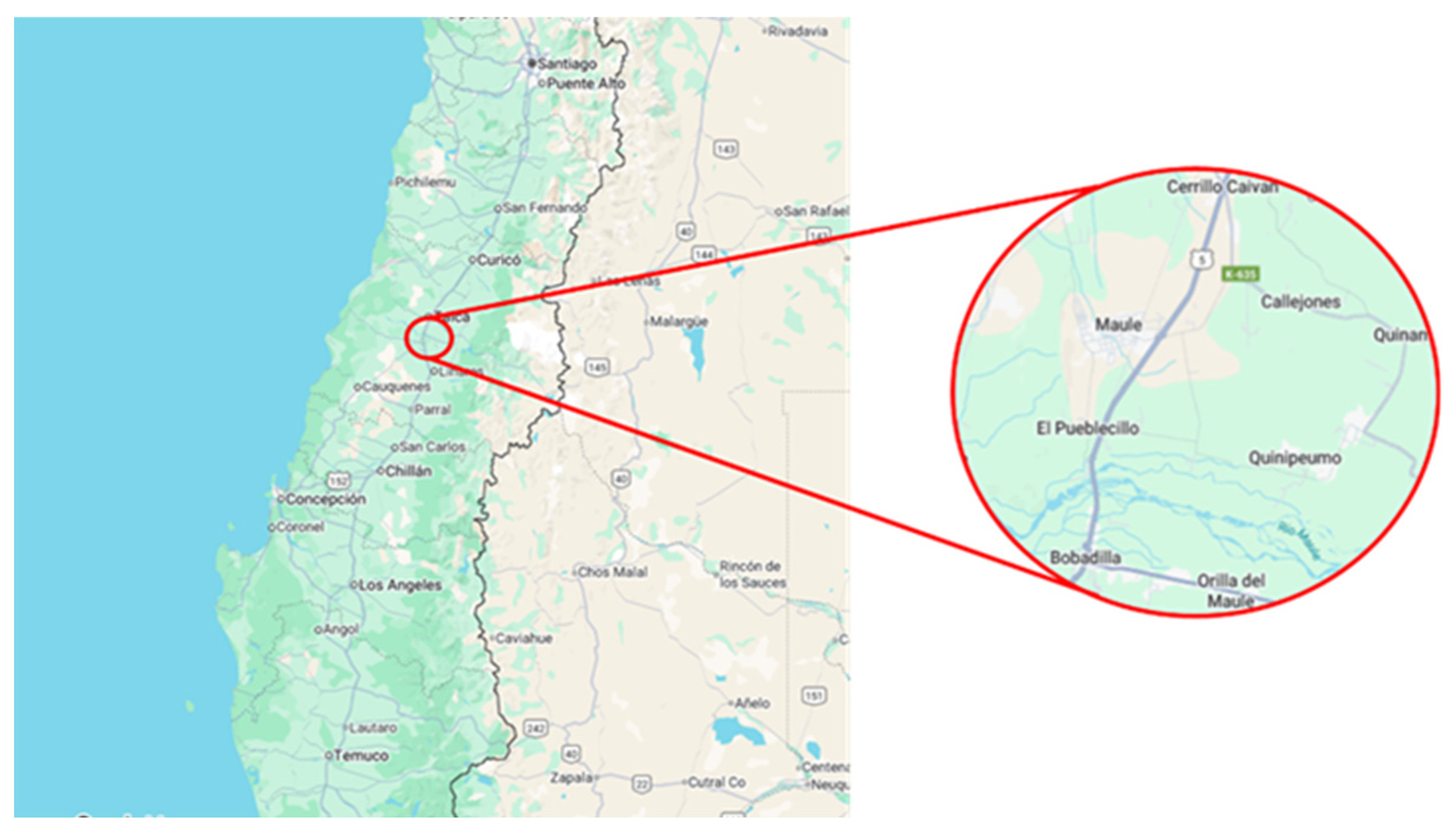 Exploratory Assessment of Native Starmerella bacillaris and ...