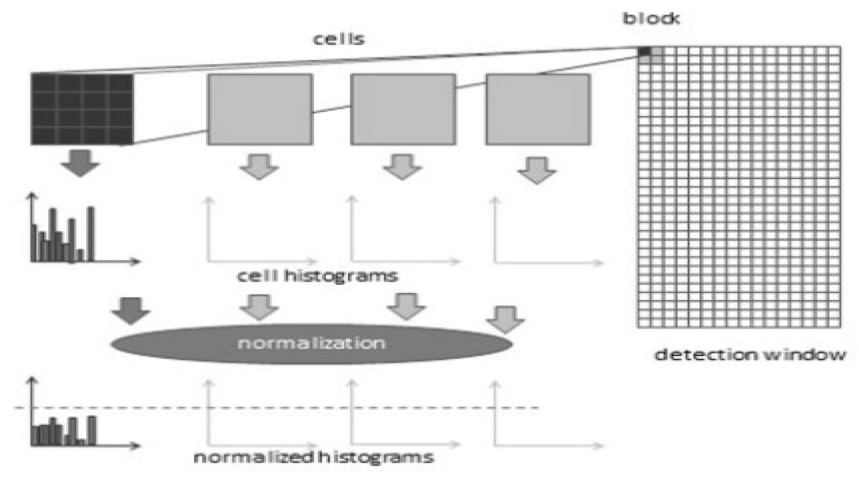 Offline Signature Verification Using Multi Classifiers: A Deep Feature Extraction Framework[v1 ...
