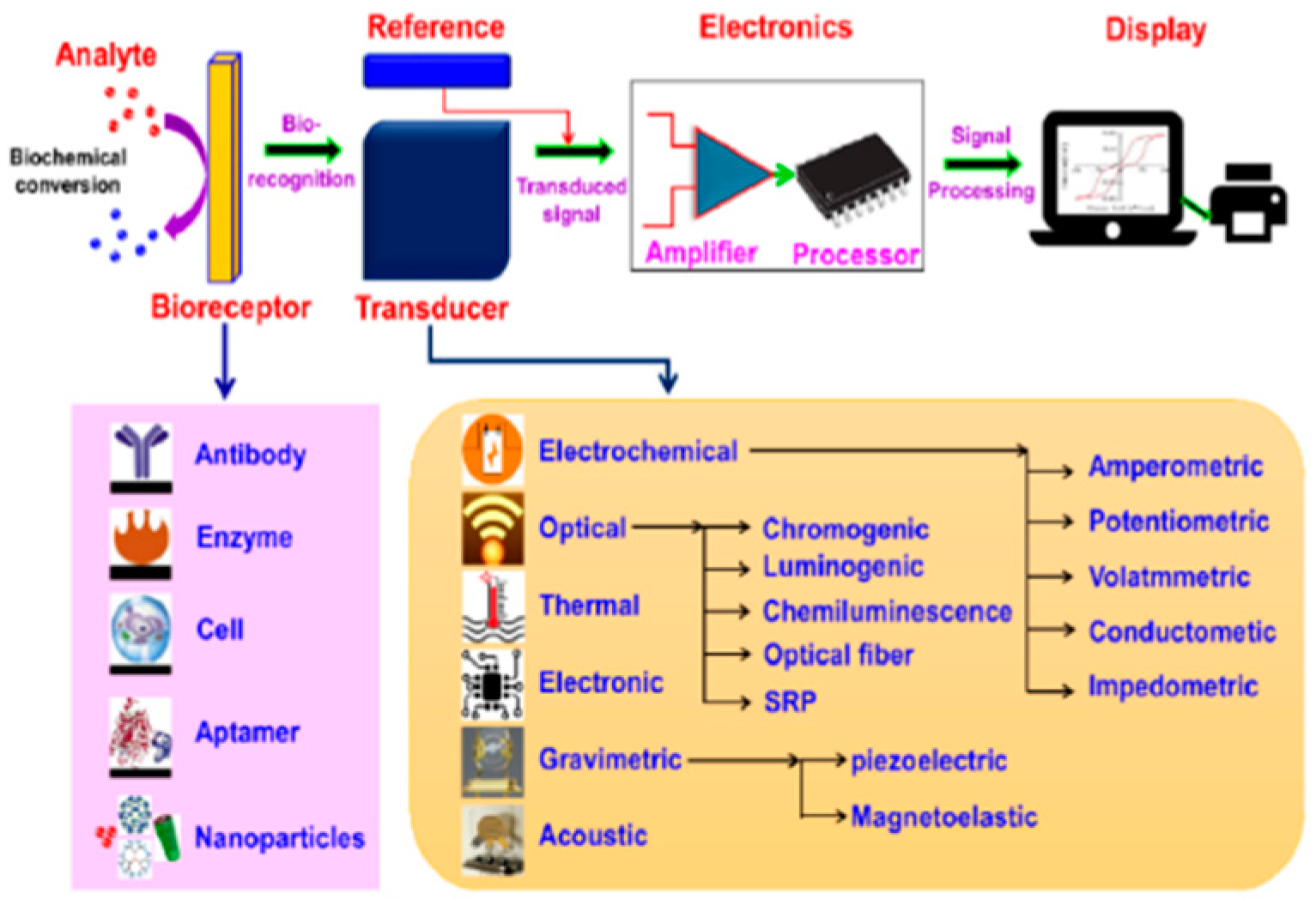 Advances in Biosensors for Early and Rare Disease Detection: A Fabrication Perspective[v1 ...