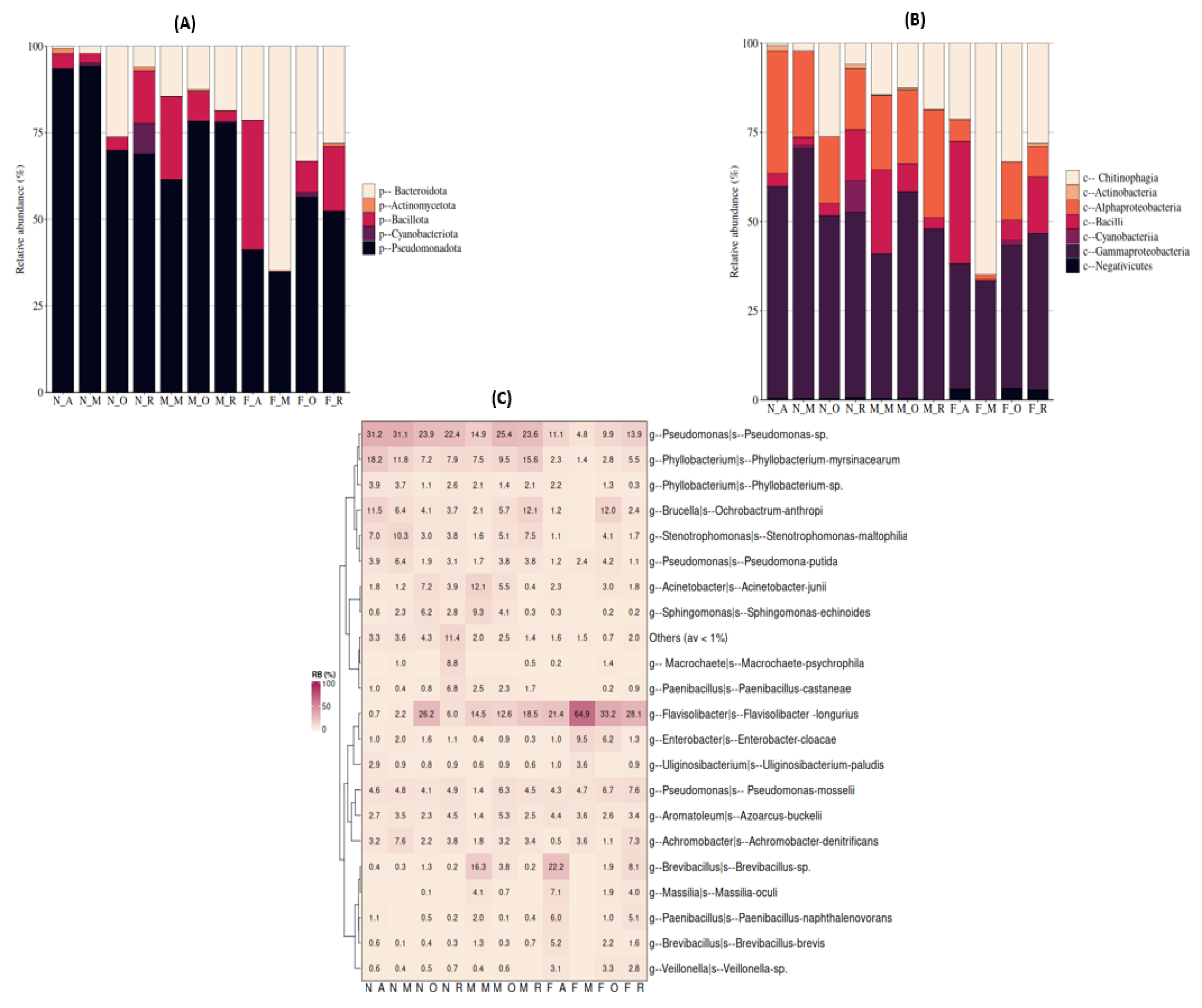 Analysis of the Bacterial Microbiota in Wild Populations of Prickly ...