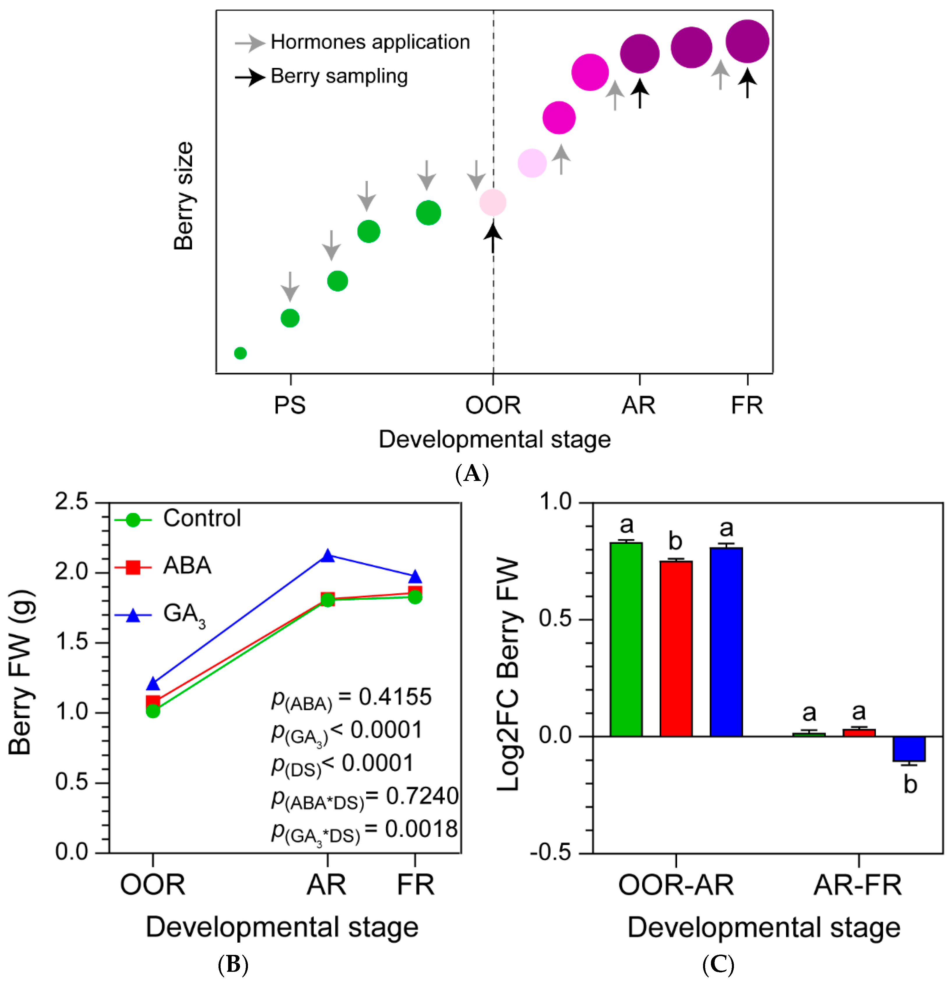 Quantitative Proteomics Analysis of ABA and GA3 Treated Malbec Berries Reveals Insights into ...