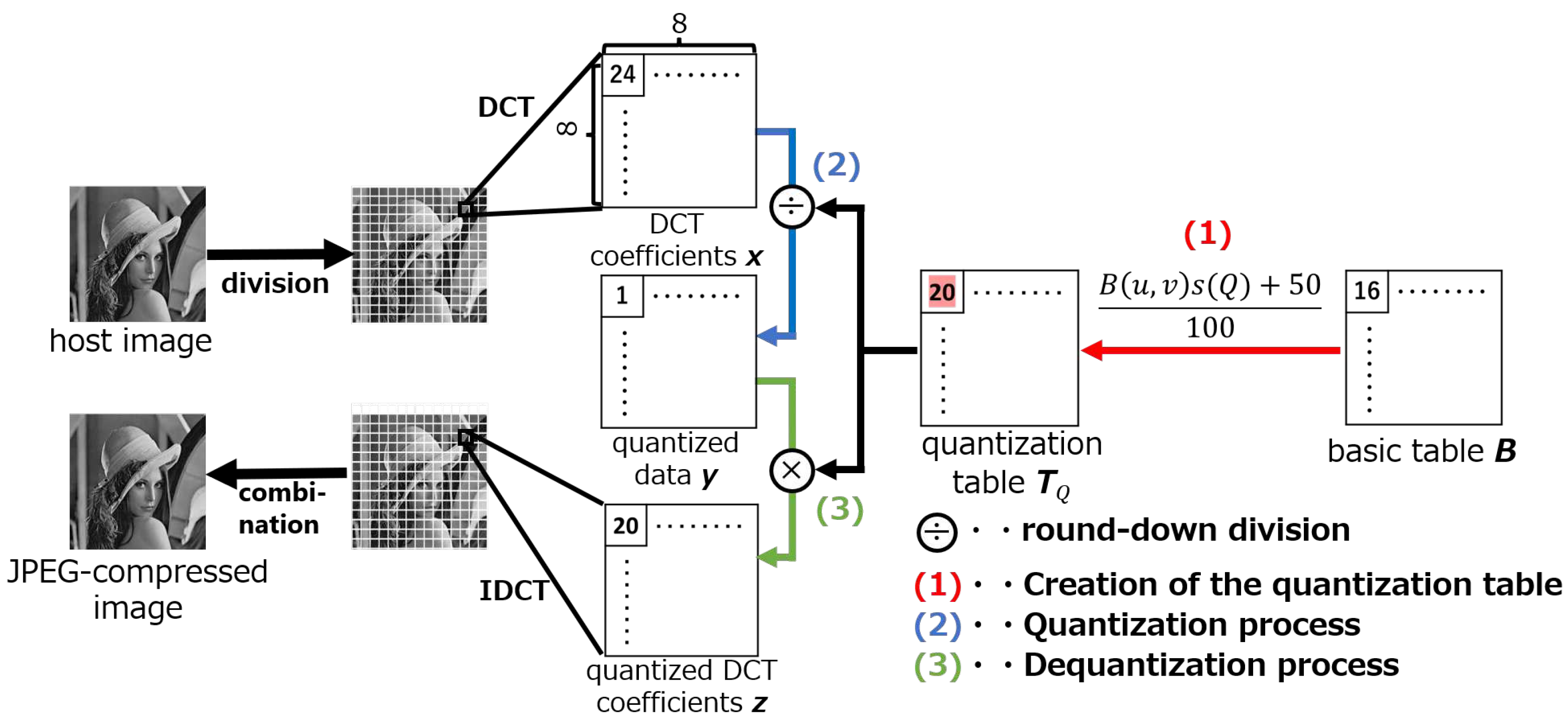 Watermarking Method Based on Neural Network with JPEG Quantization Represented by Quantized ...