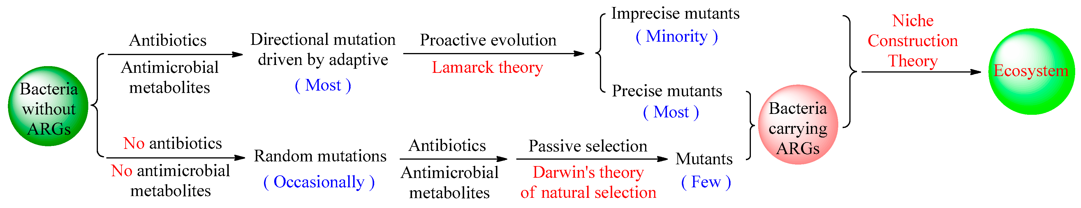 One Earth-One Health Concept to Combat Bacterial Resistance Having Dual ...