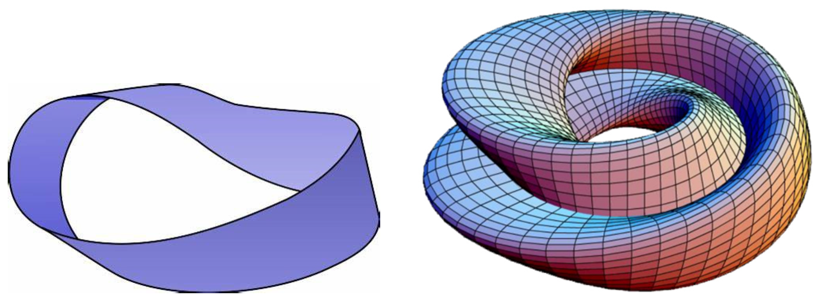 A Cross-Disciplinary, Quantum-Gravity Approach to Everything from ...
