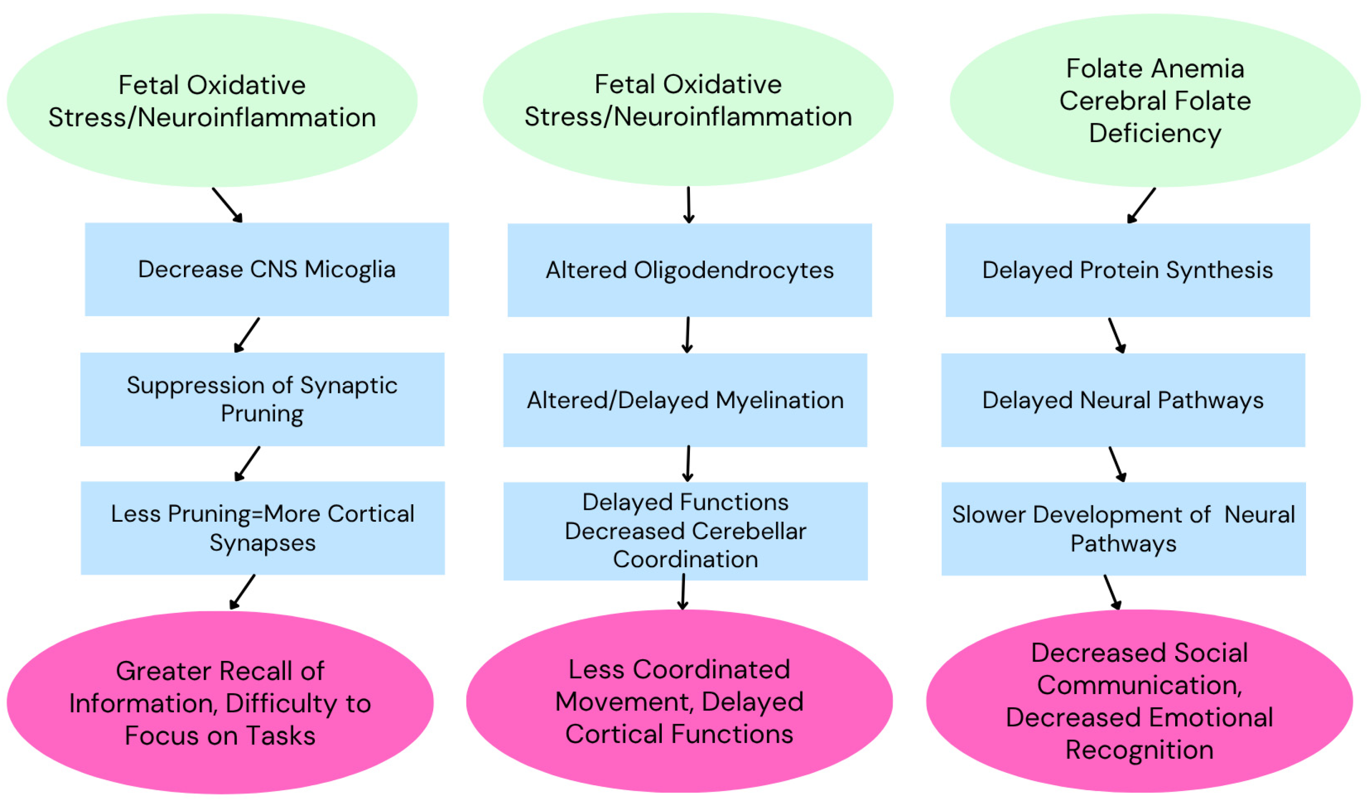 Autism Spectrum Disorder as a Multifactorial Disorder: The Interplay of ...