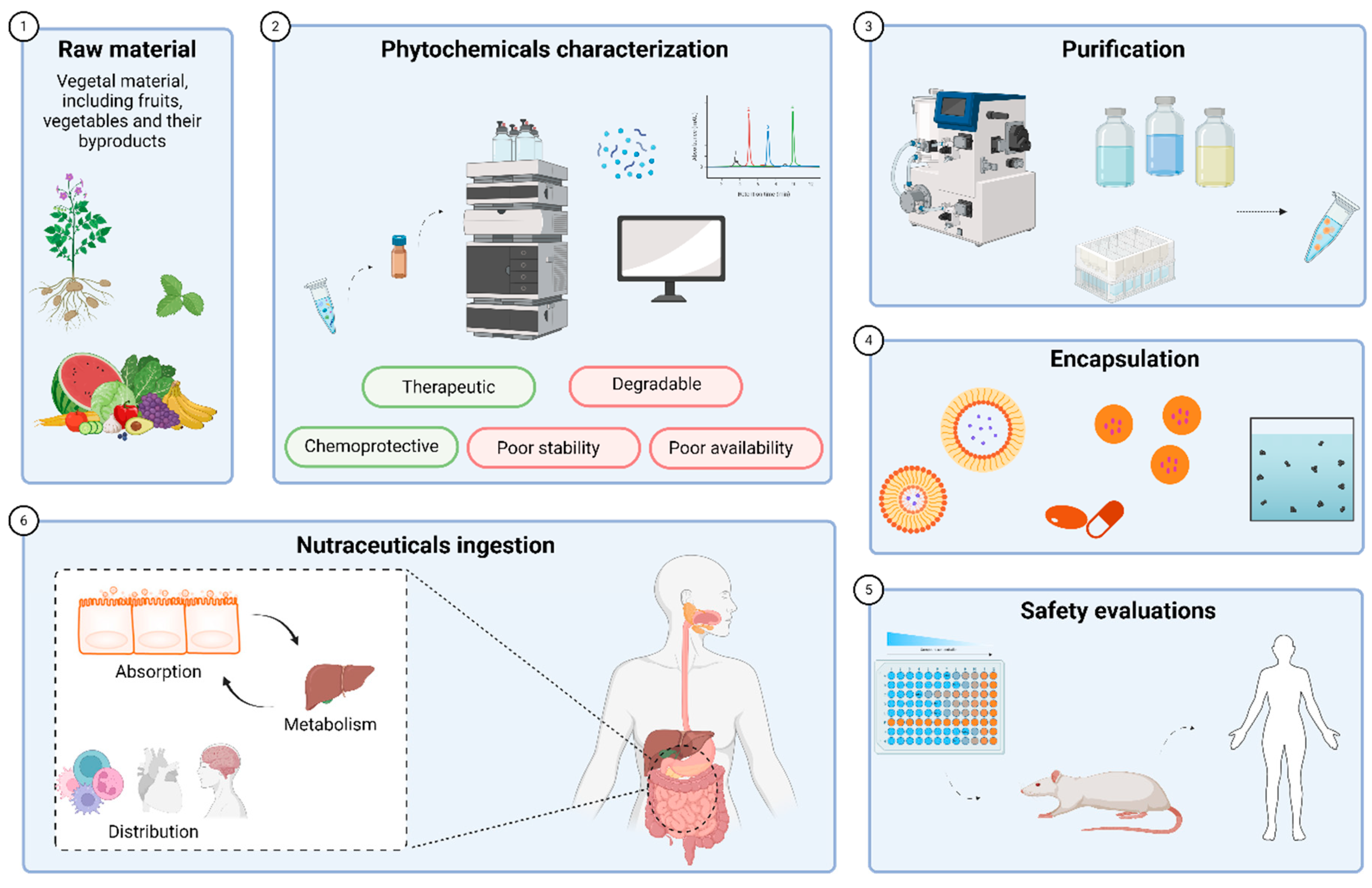 Antioxidants as Nutraceuticals of Phytochemical Nature (Plant Natural Foods) in Disease ...