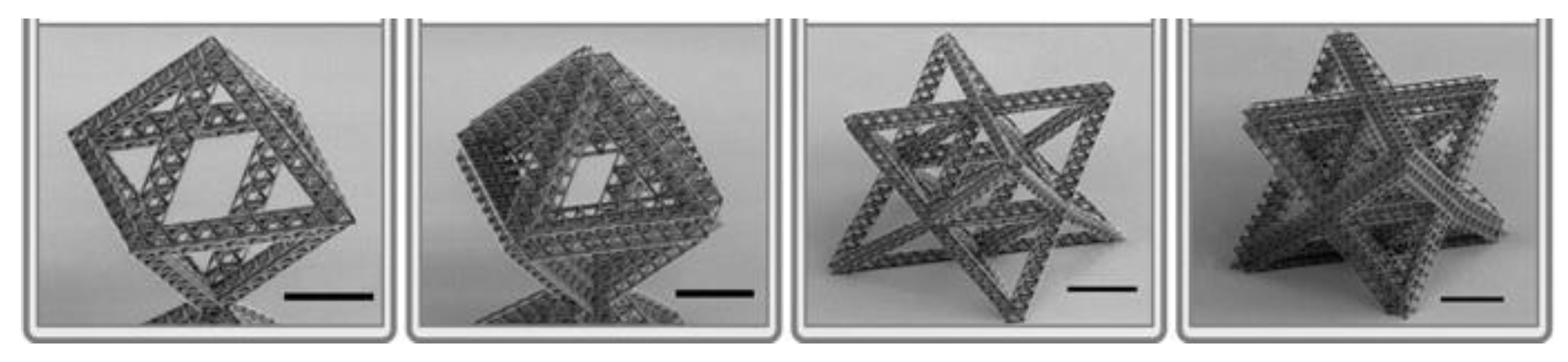 Fractal Analysis of Multiscale Biological Systems[v1] | Preprints.org