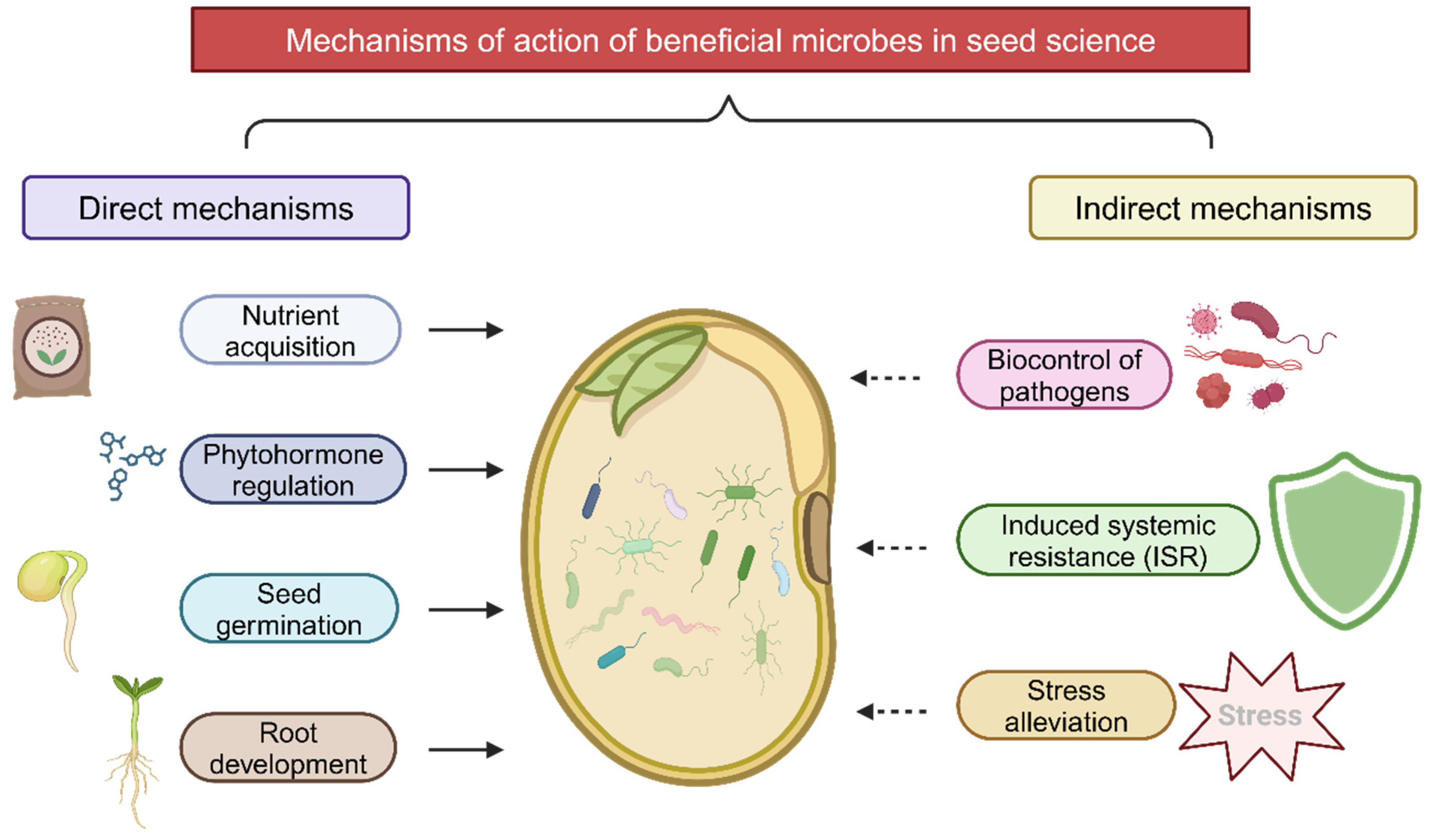 Beneficial Microbes in Seed Science[v1] | Preprints.org