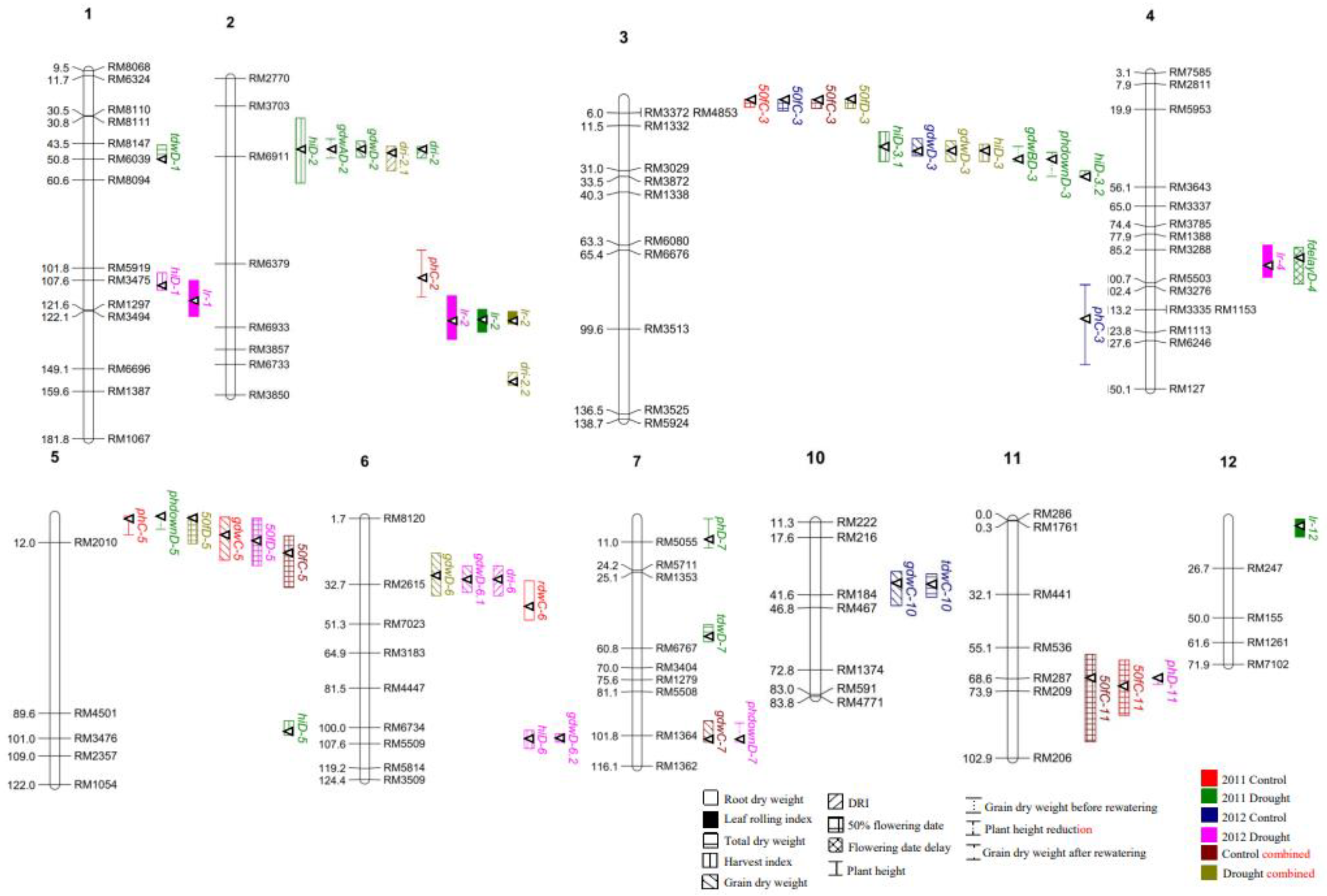Eco-Physiological and Genetic Basis of Drought Response Index in Rice – Integration Using a ...