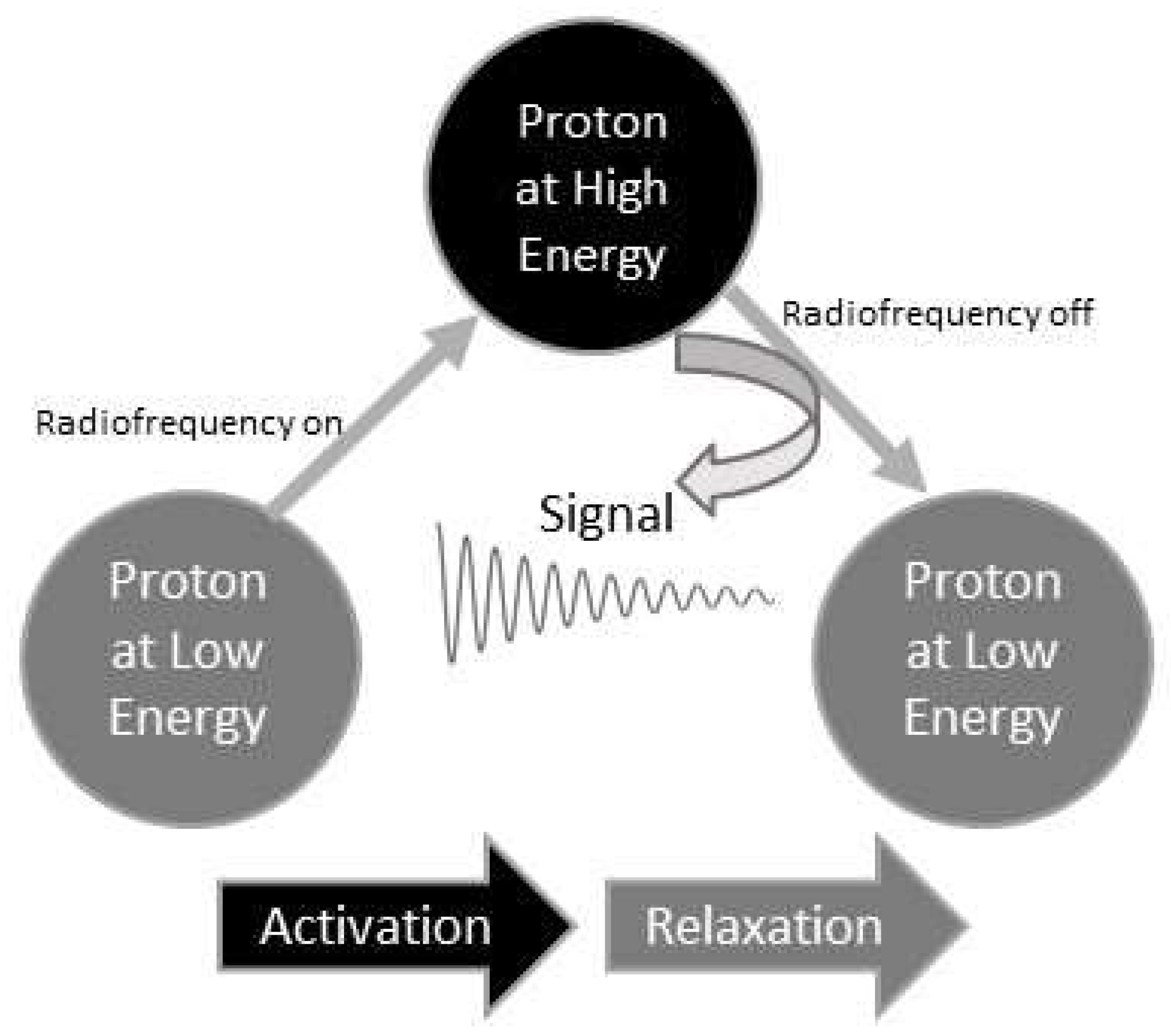 Mathematical and Statistical Review of NMR Time Domain Data Pre-Processing[v2] | Preprints.org
