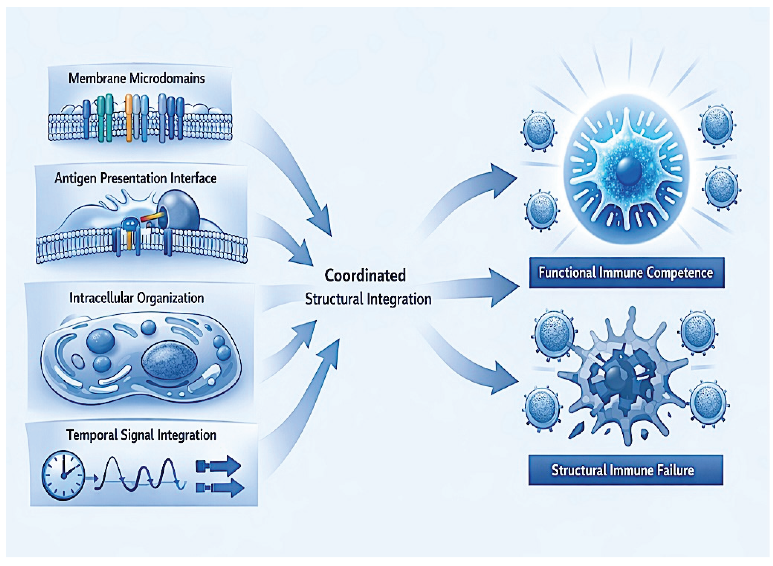 Structural Determinants and Repair of Membrane Microdomains in ...