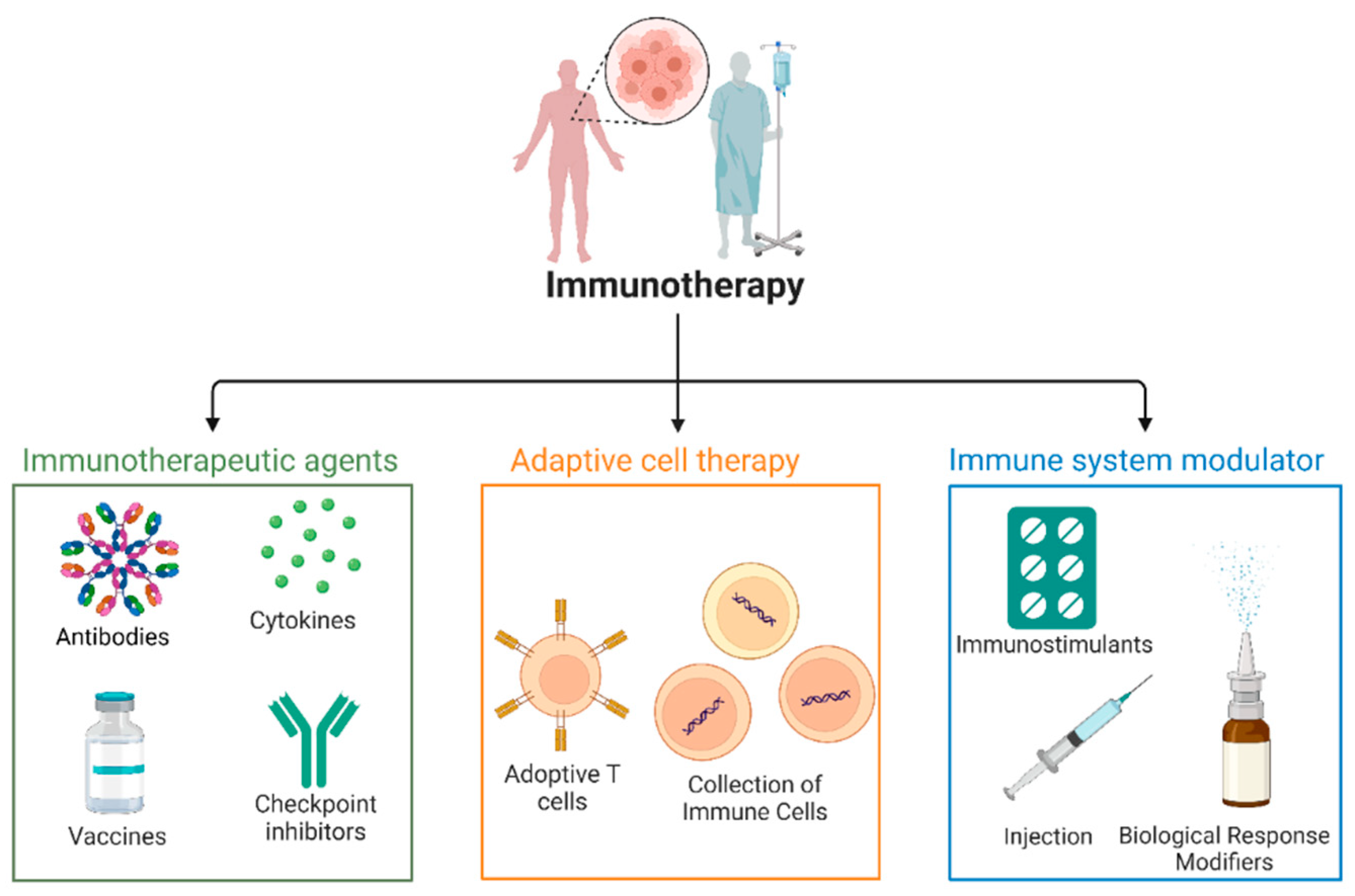 Revolutionizing Cancer Therapy: A Comprehensive Review of Immune ...
