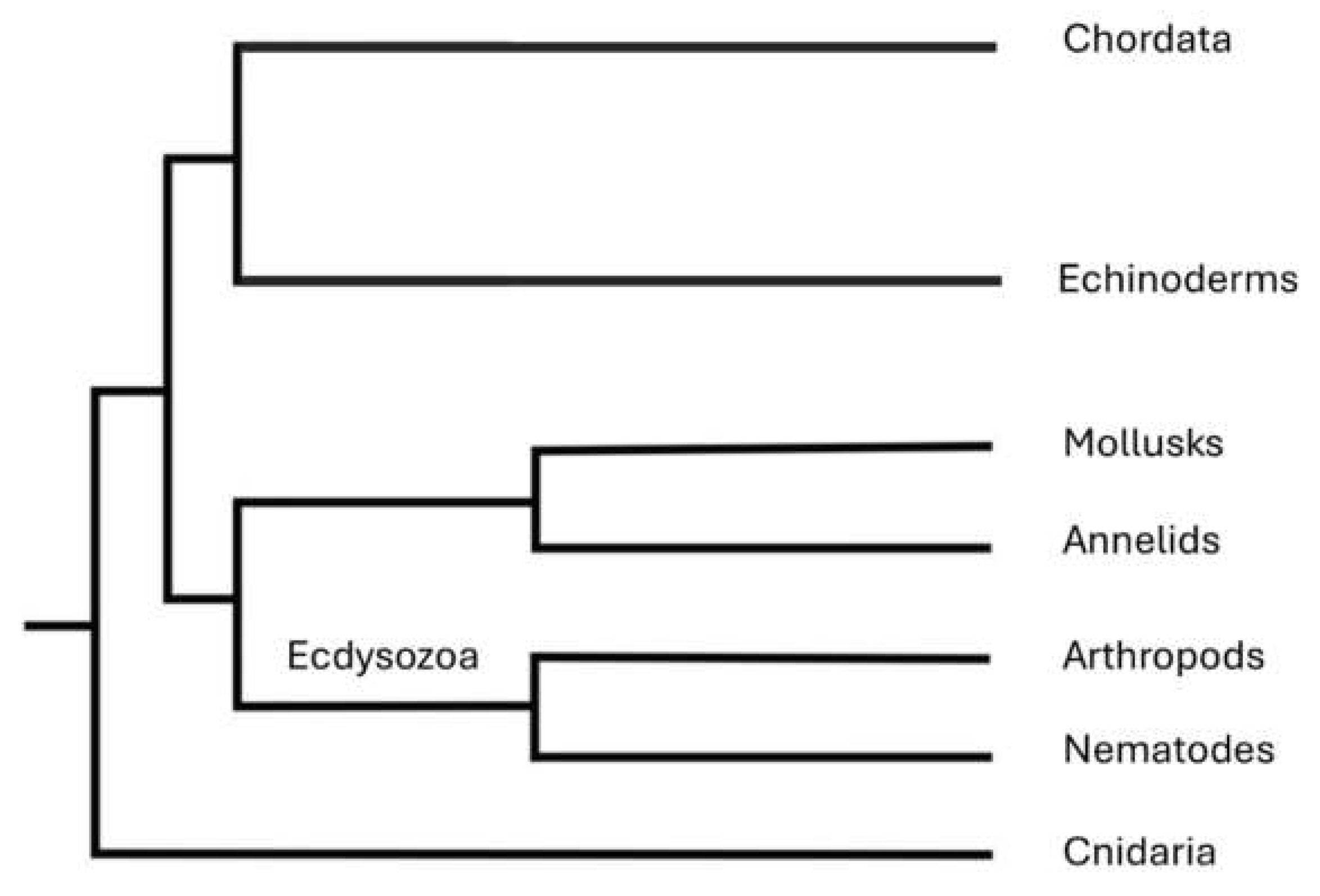 Race is a Social and Biological Construct[v1] | Preprints.org