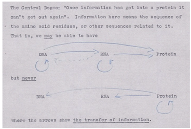 The Epigenetics of the New Central Dogma: Integrating Cognition and ...