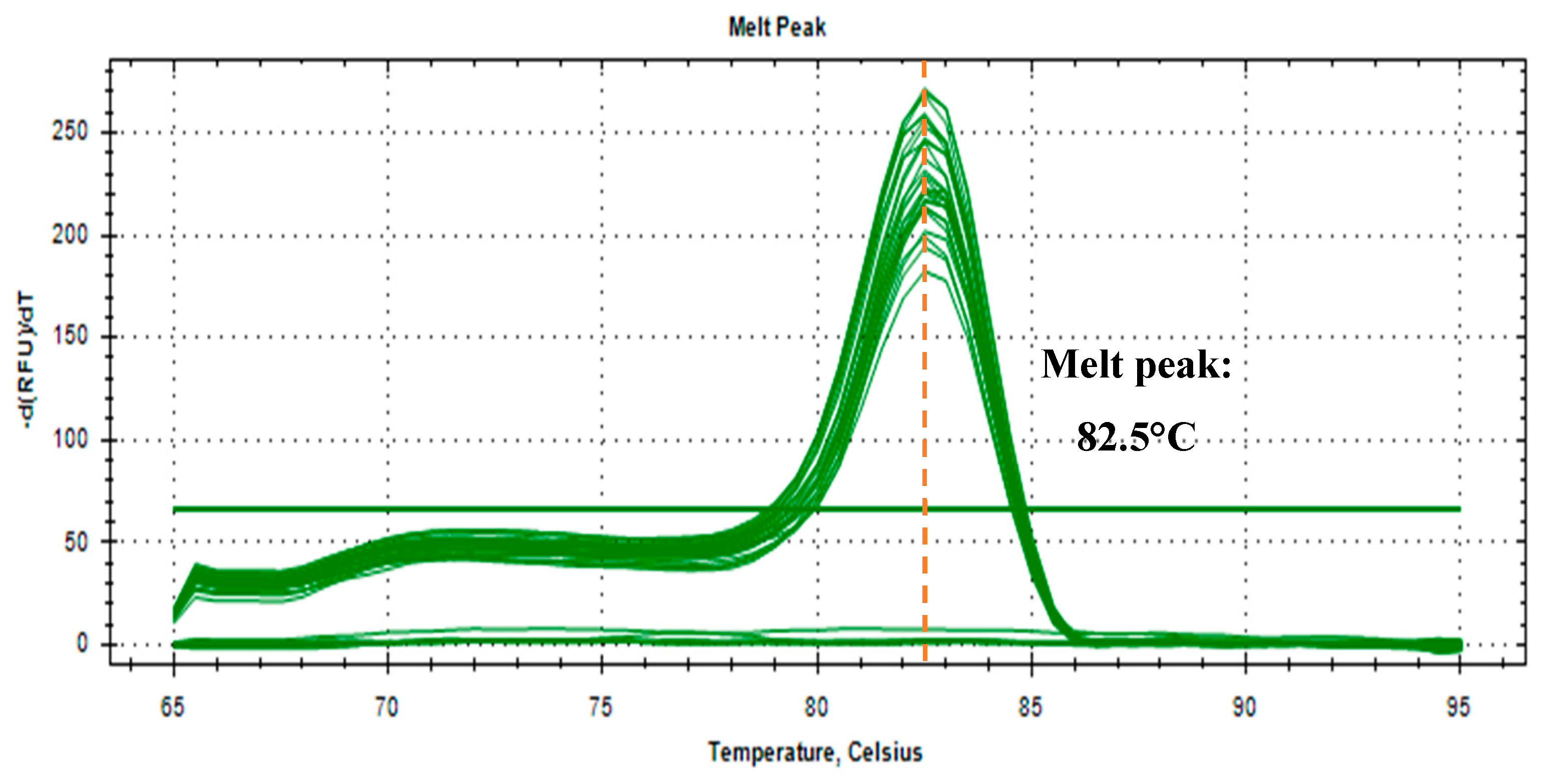 Development of a SYBR Green Based Real-Time PCR Assay to Detect ...