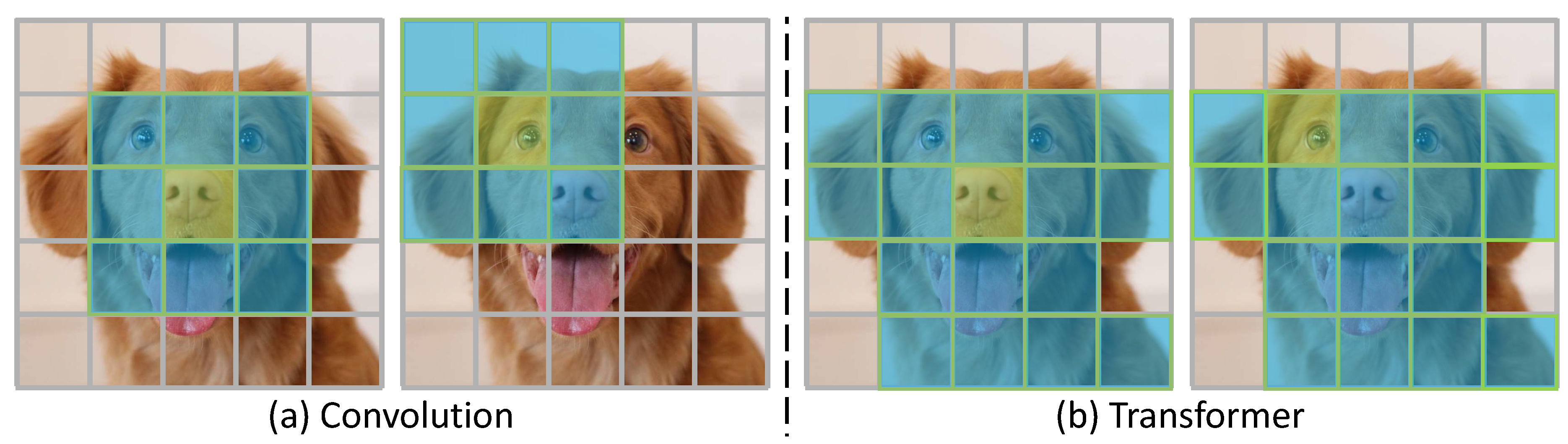 Translution: Unifying Transformer and Convolution for Adaptive and ...