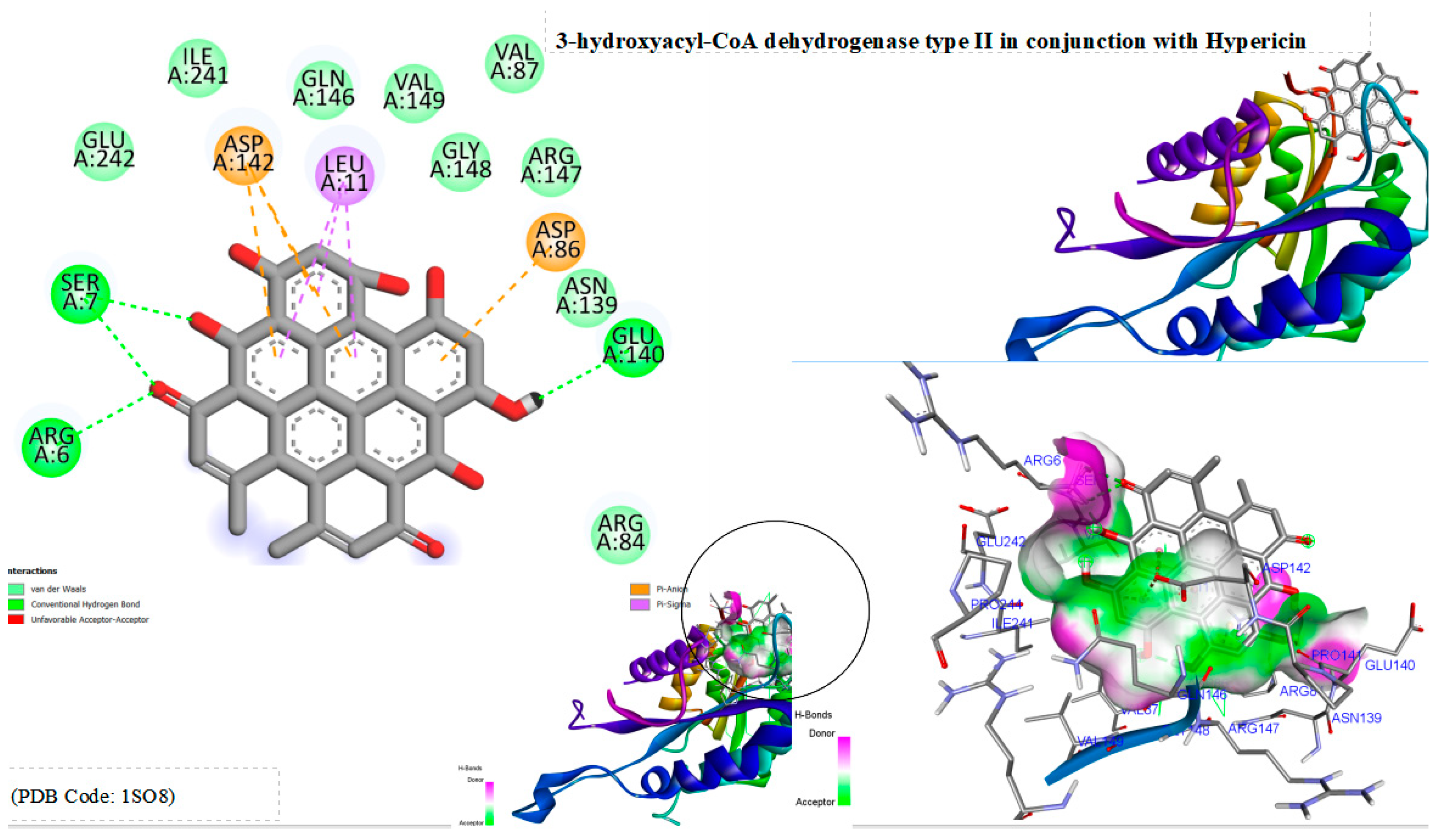 Exploring the Therapeutic Potential of Hypericin: Molecular Docking ...
