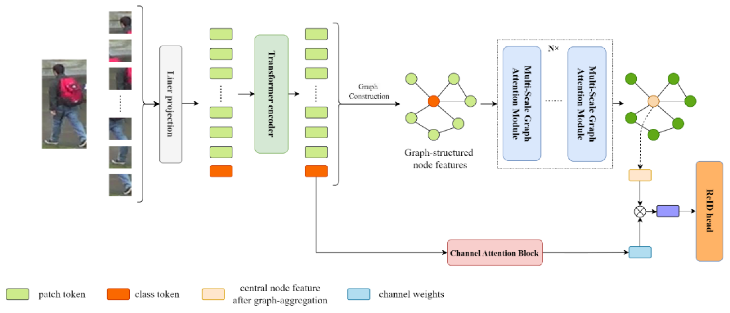 A Multi-Scale Graph Attention-Based Transformer for Occluded Person Re-Identification[v1 ...
