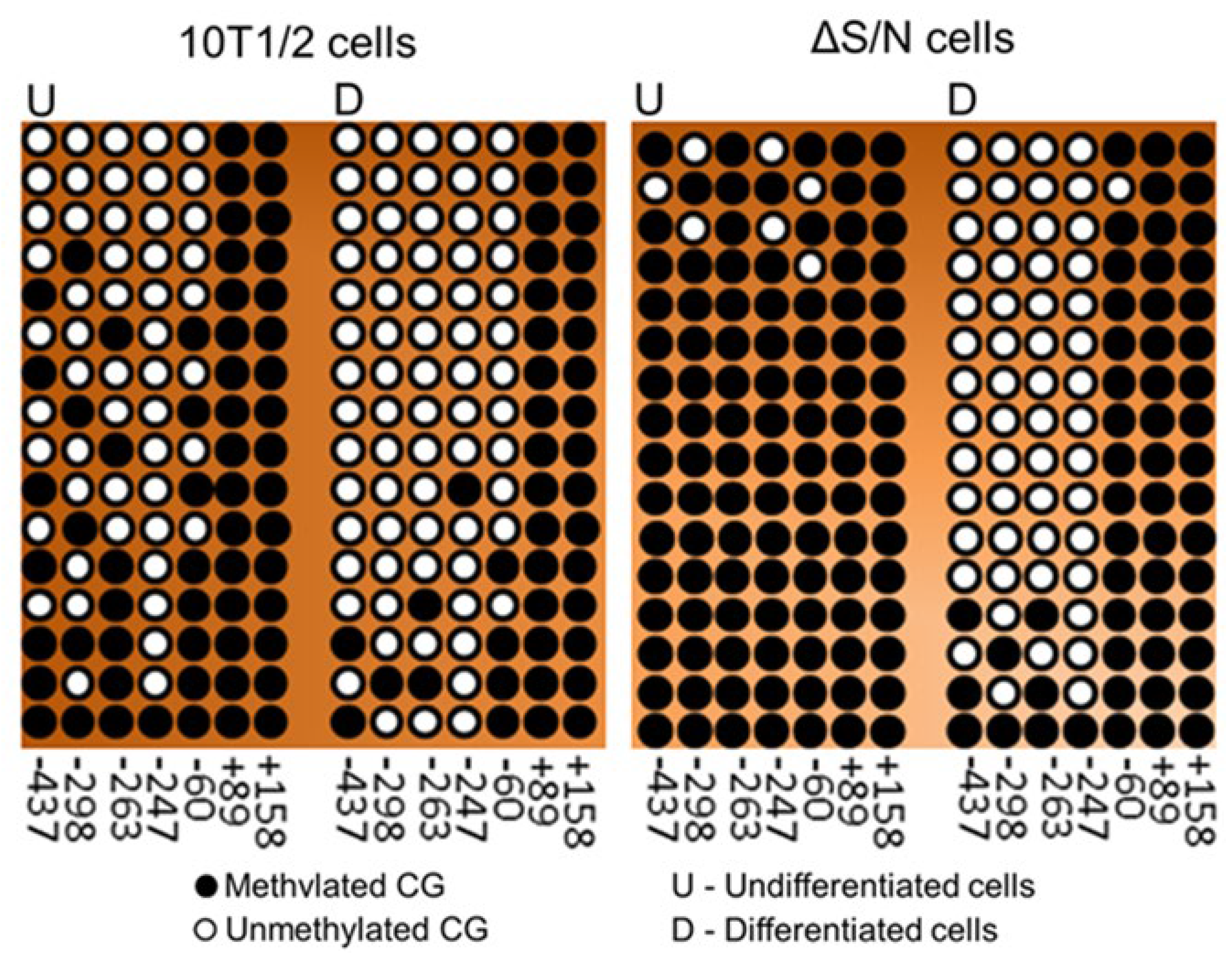 Epigenetic Reprogramming and Inheritance of the Cellular ...