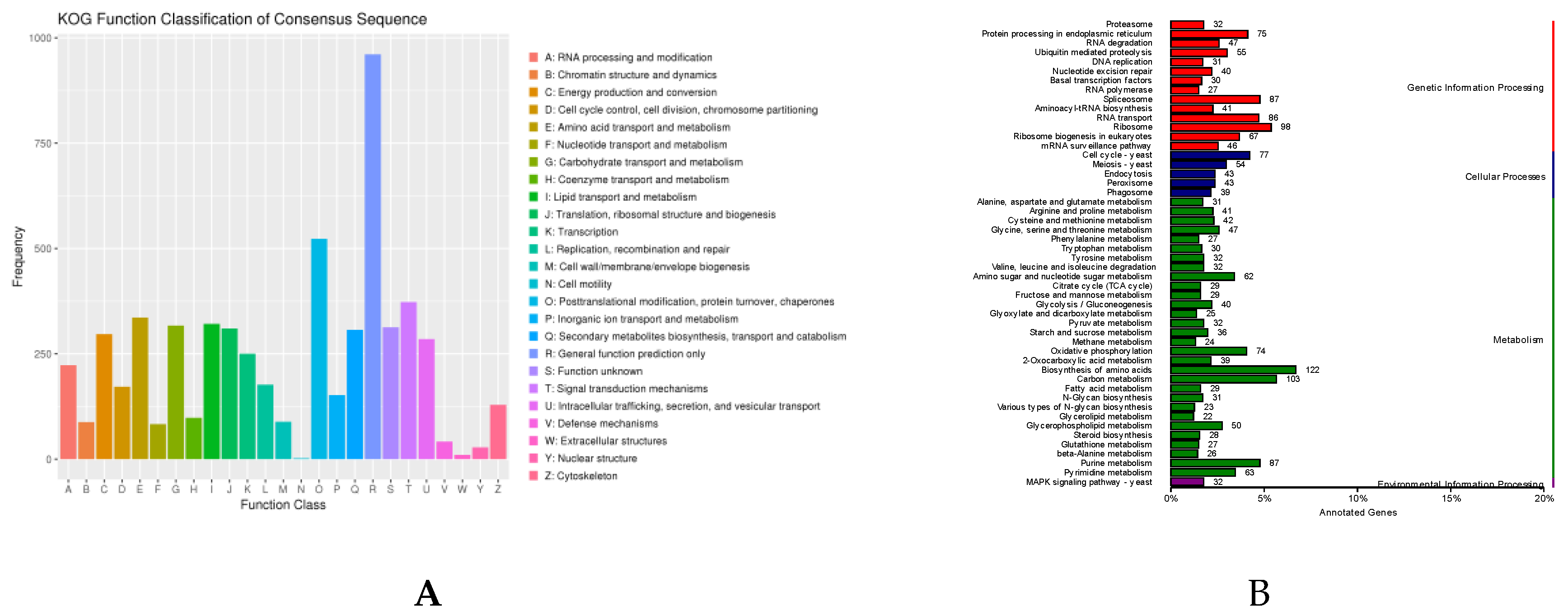 Genome Sequence, Comparative Genome Analysis and Expression Profiling ...